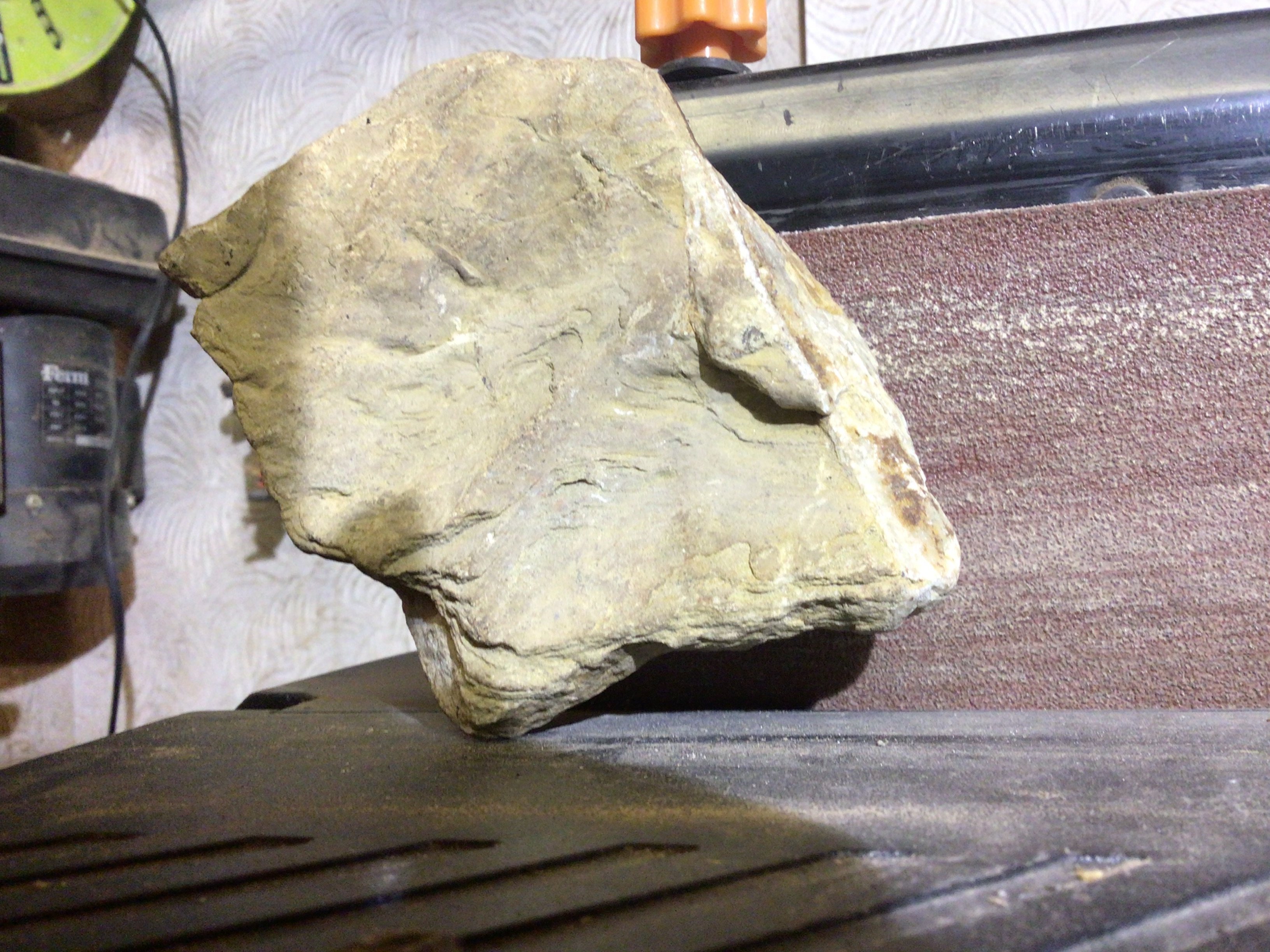 Bow down hand me fossil of the month and add a location to the history ...