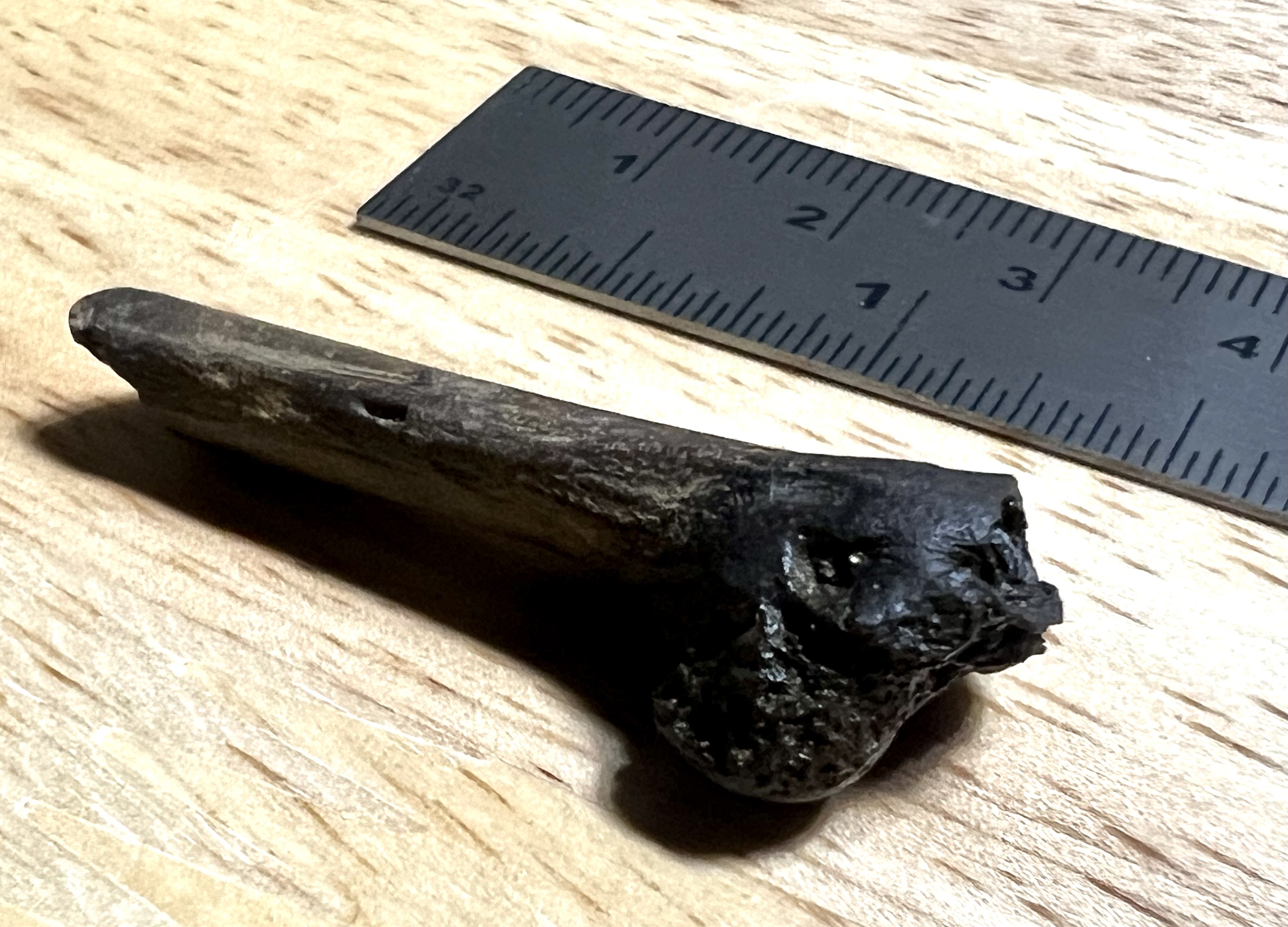 Post Oak Creek (North Texas) Bone Identification Help - Fossil ID - The ...