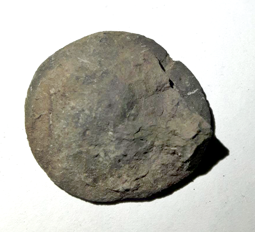 Montréal (Ordovician?) Circular Fossil - Fossil ID - The Fossil Forum