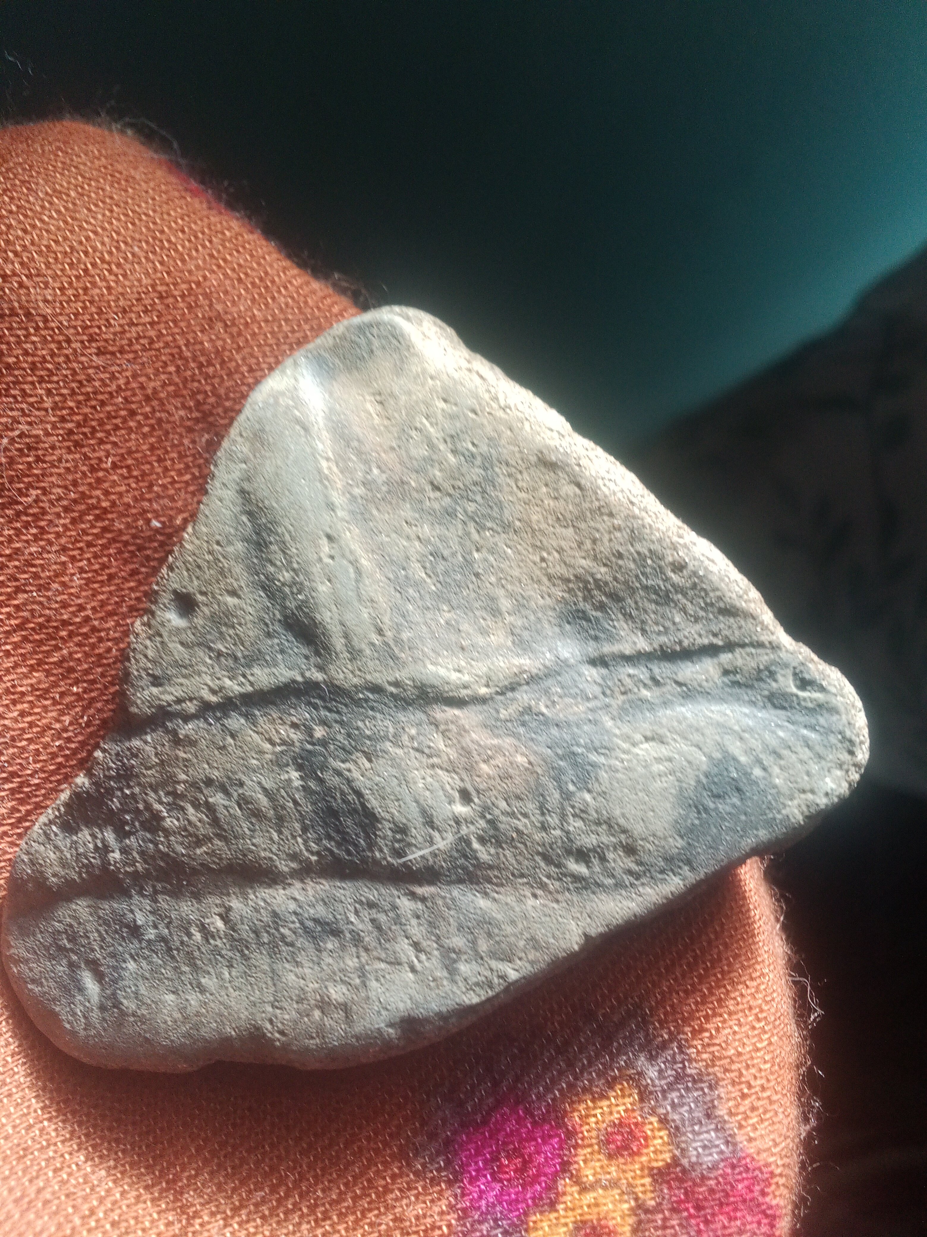 New inquisitive Ozark Rockhound - Fossil ID - The Fossil Forum