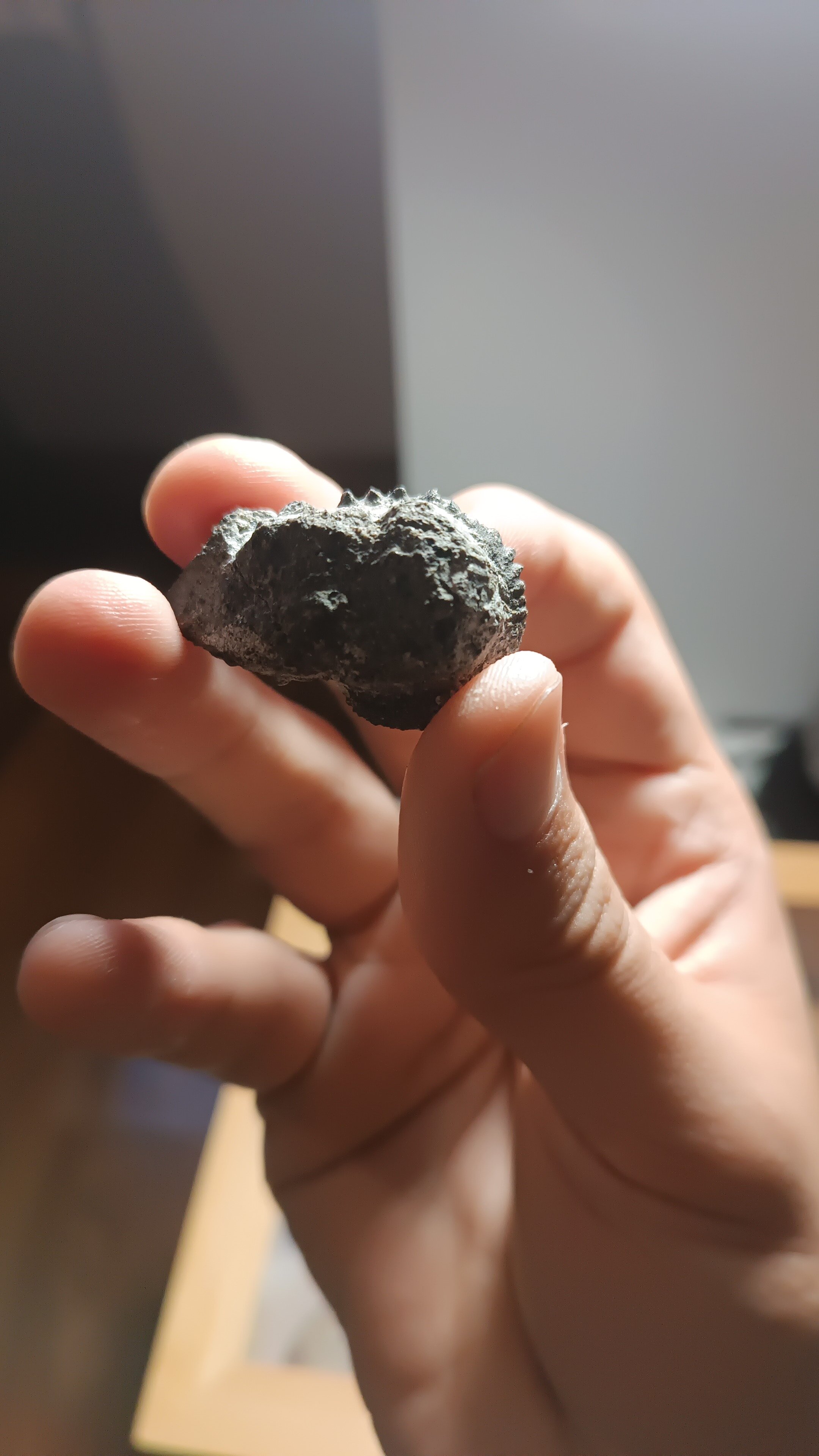 Messed up :( - Fossil Preparation - The Fossil Forum