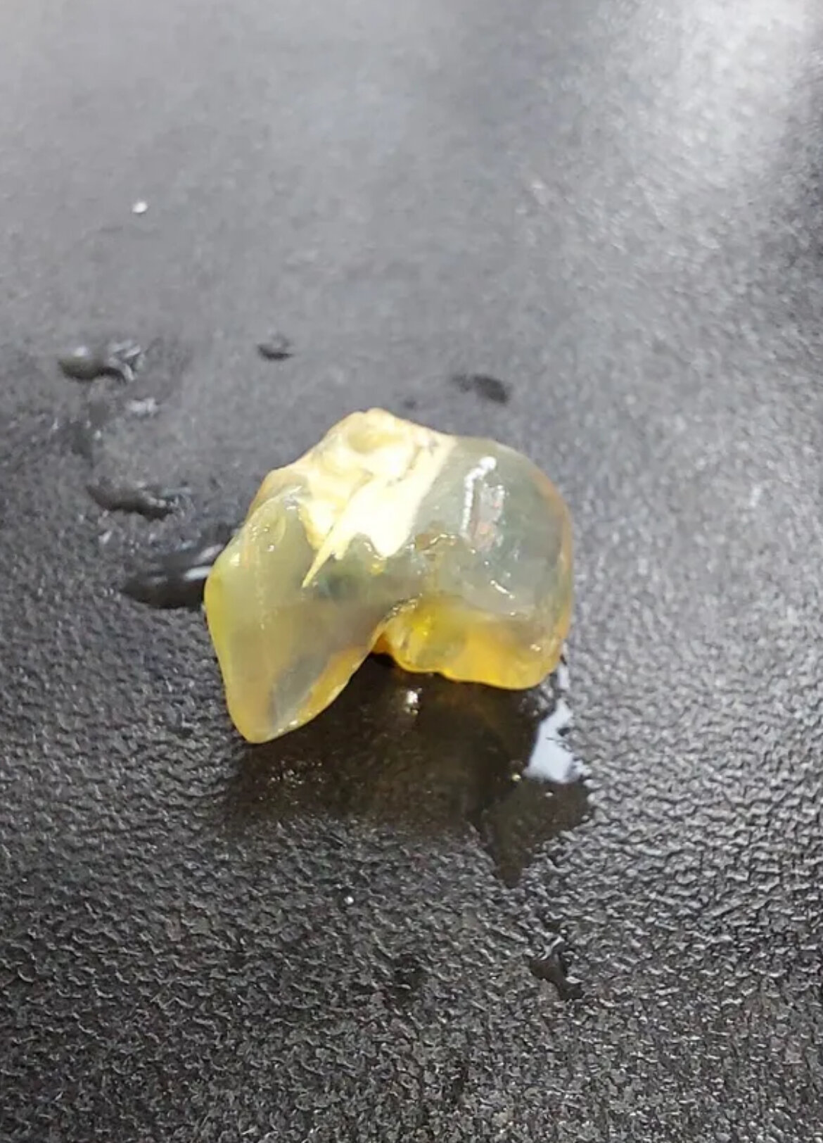 Possible Opalized Mammal Tooth from Lighting Ridge? - Fossil ID - The ...