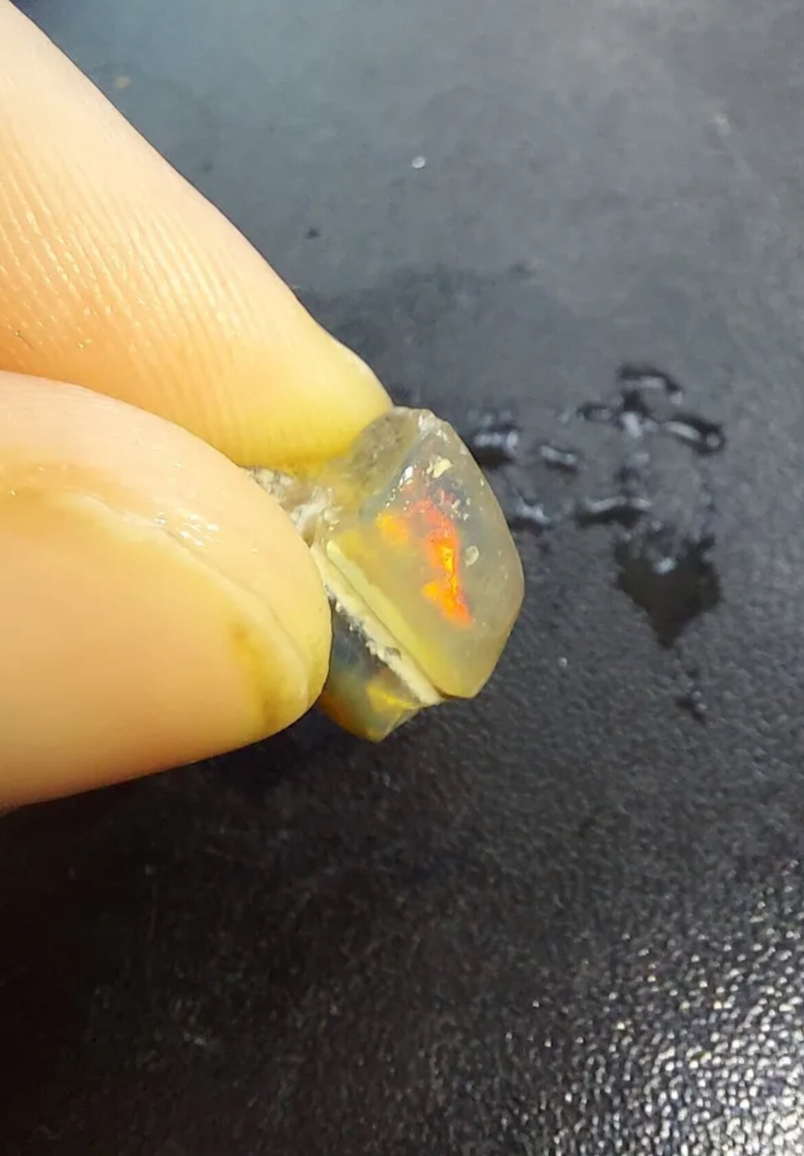 Possible Opalized Mammal Tooth from Lighting Ridge? - Fossil ID - The ...