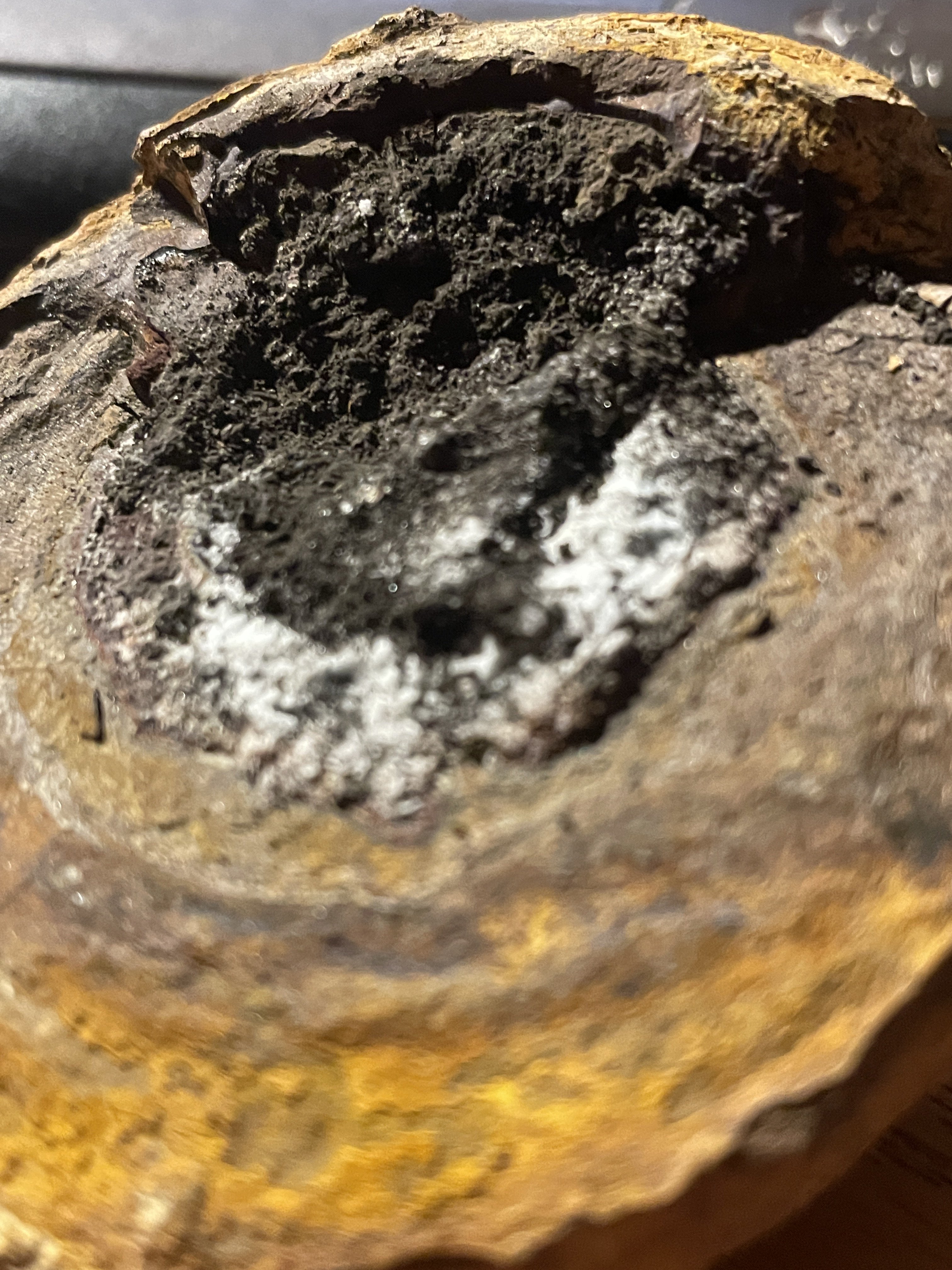 Help ID round hollow rock - Rocks & Minerals - The Fossil Forum