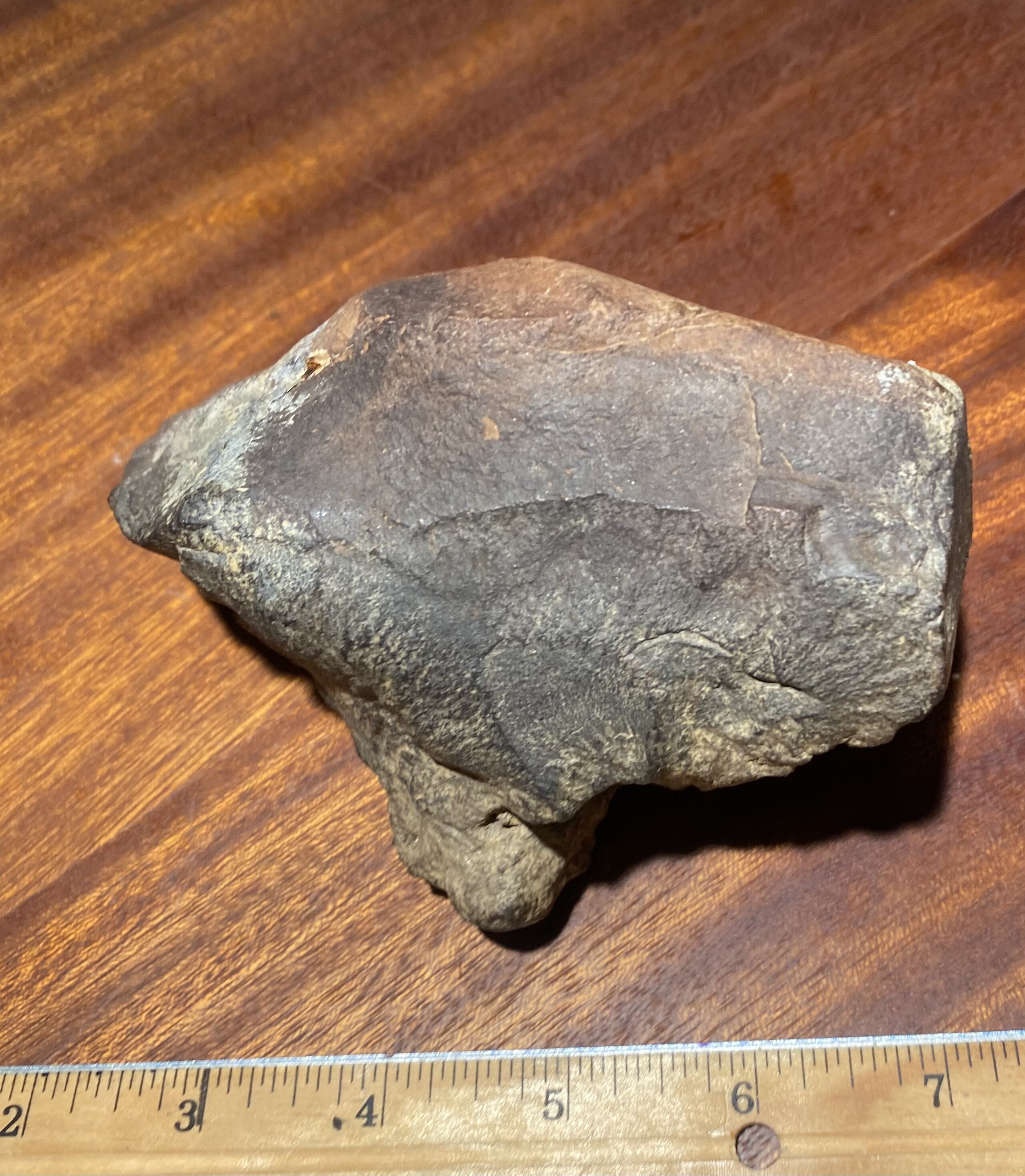 Interesting rock or fossil? - Fossil ID - The Fossil Forum
