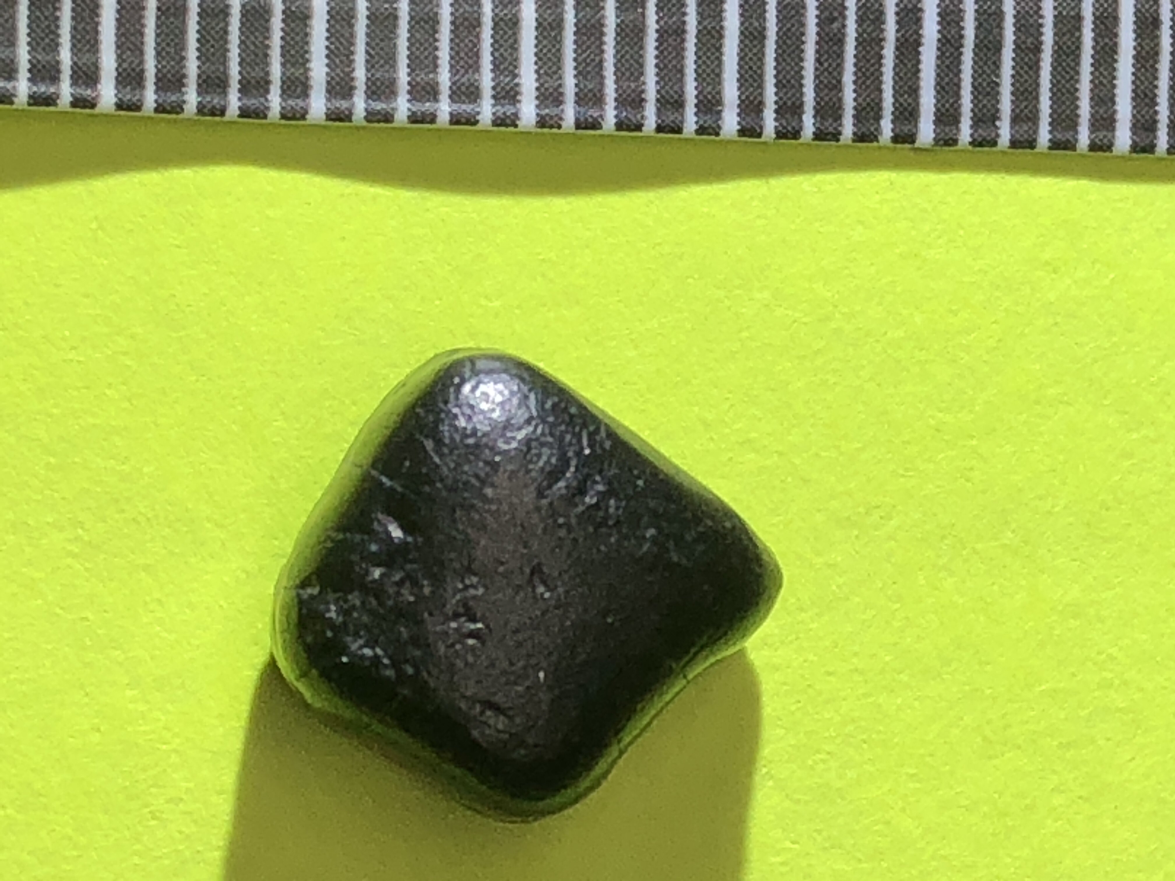 Tiny fossil bone- beach find Myrtle beach SC - Fossil ID - The Fossil Forum