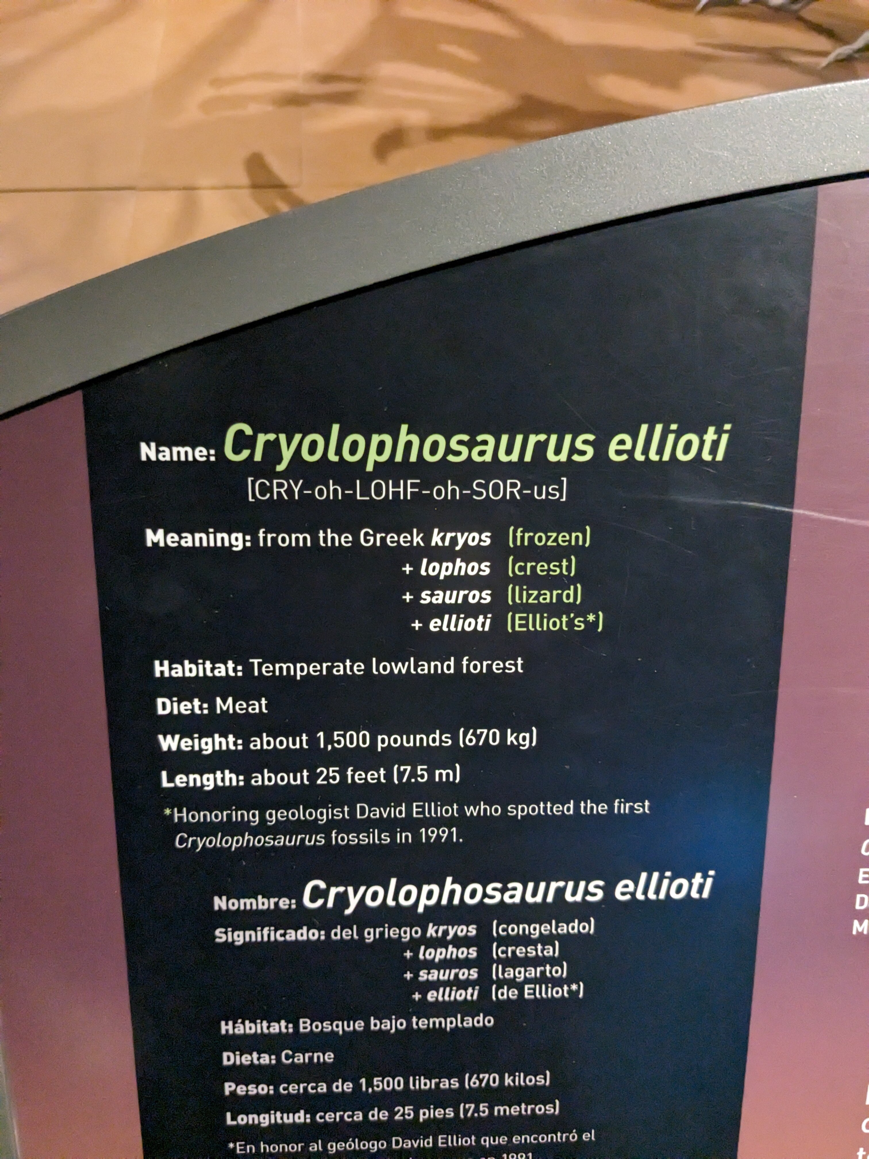 Antarctic Fossils - Questions & Answers - The Fossil Forum