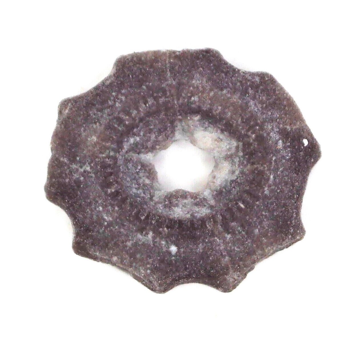 Crinoid New York Devonian - Member Collections - The Fossil Forum