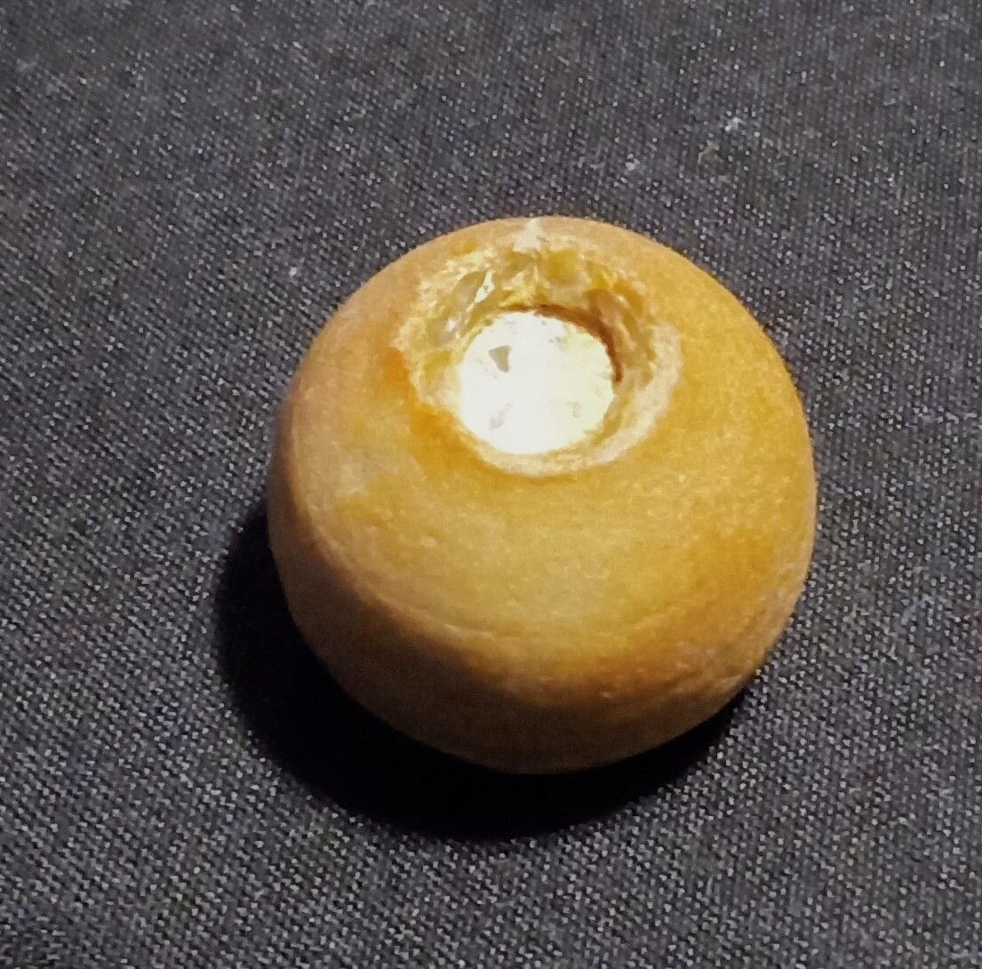 Need help with identification - Fossil ID - The Fossil Forum