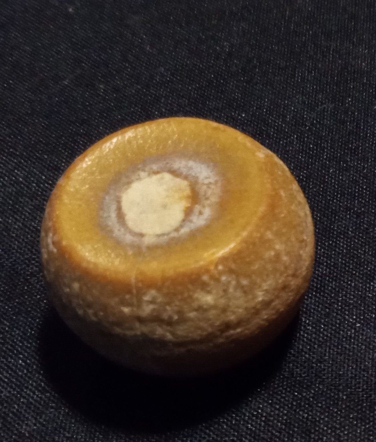 Need help with identification - Fossil ID - The Fossil Forum