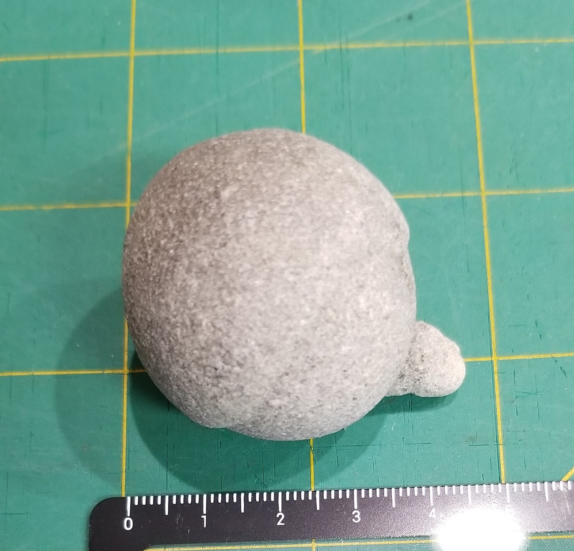 Is this a fossil acorn? - Fossil ID - The Fossil Forum