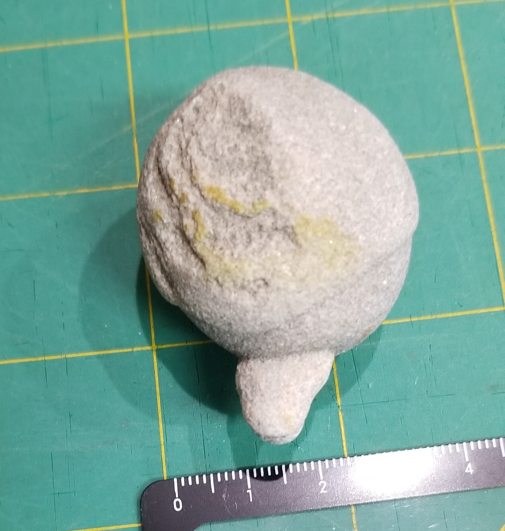 Is this a fossil acorn? - Fossil ID - The Fossil Forum