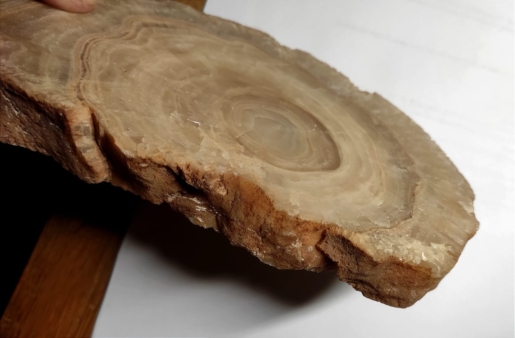 Fossil wood? - Fossil ID - The Fossil Forum
