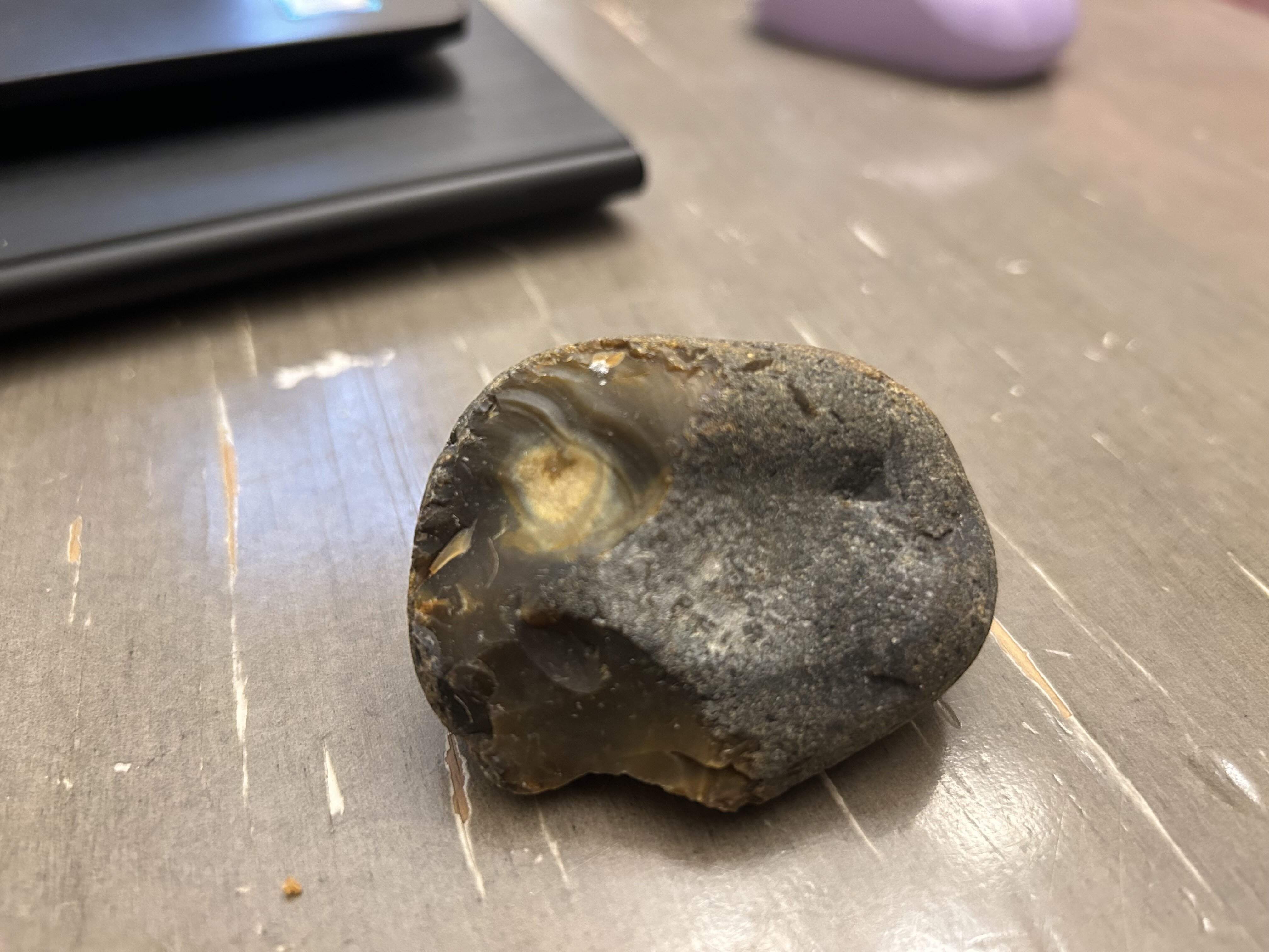 Bird outline with beak in a rock - Fossil ID - The Fossil Forum