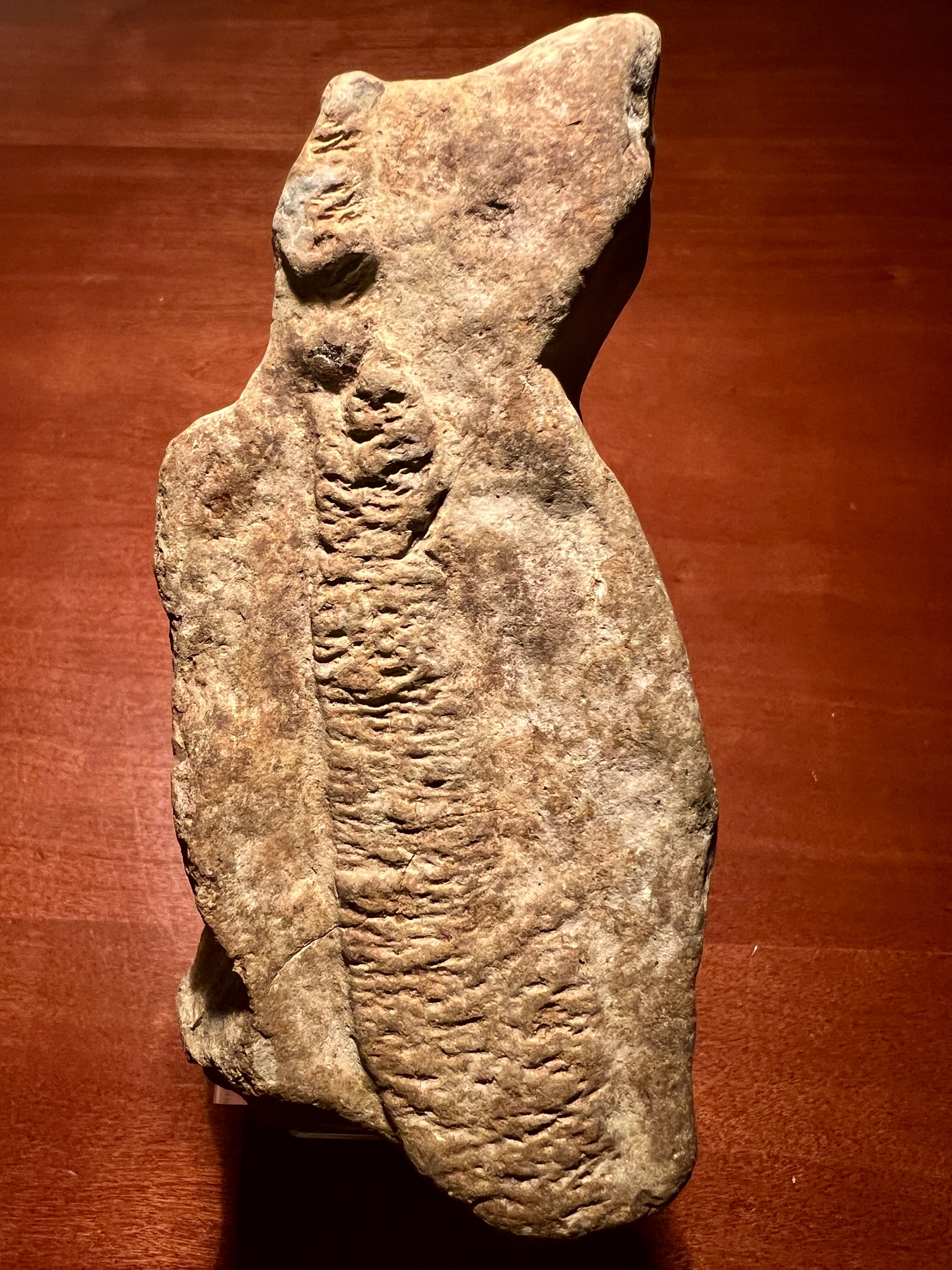 Interesting Rock found in Hunterdon County, New Jersey: Any idea what ...