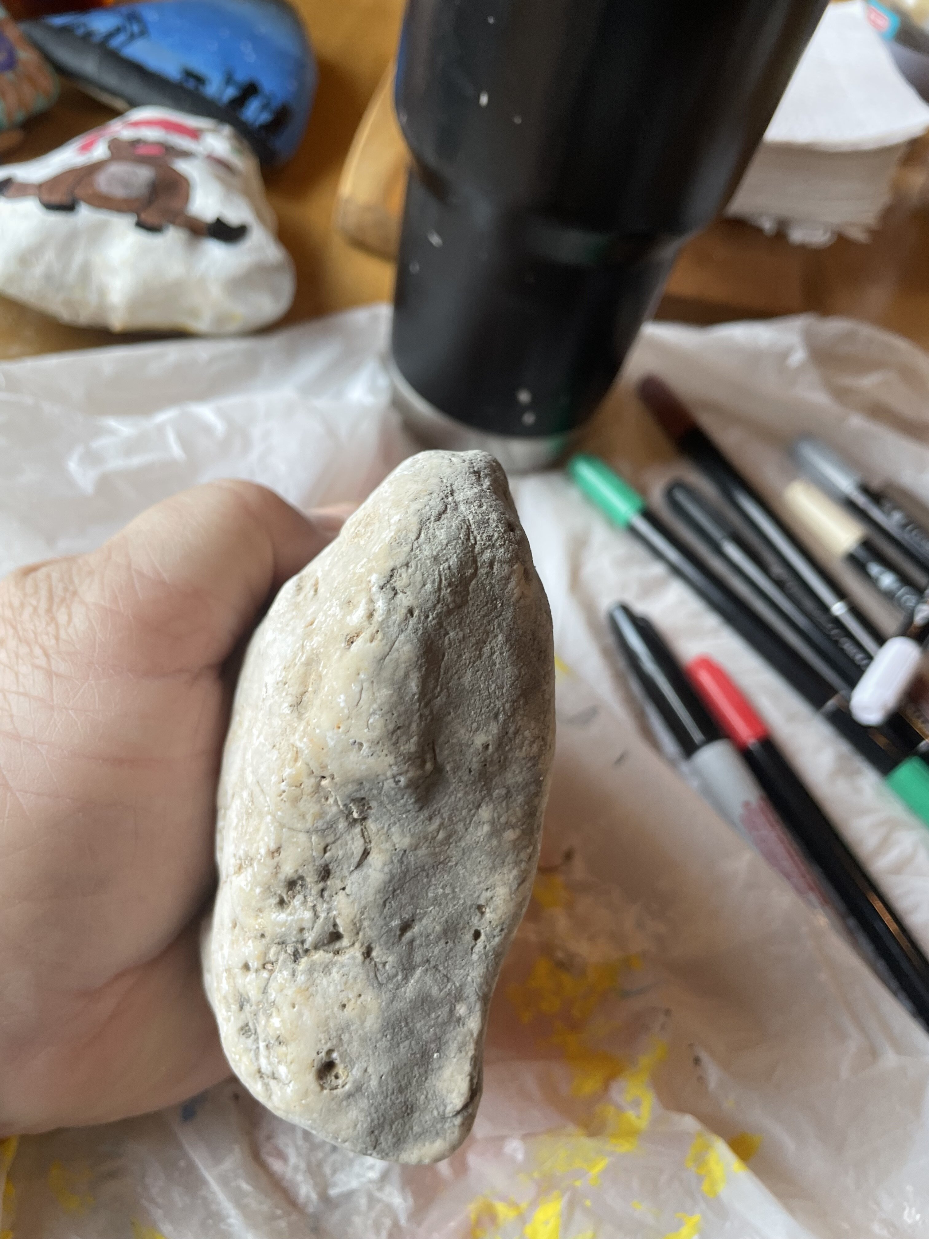 What made these marks? - Fossil ID - The Fossil Forum