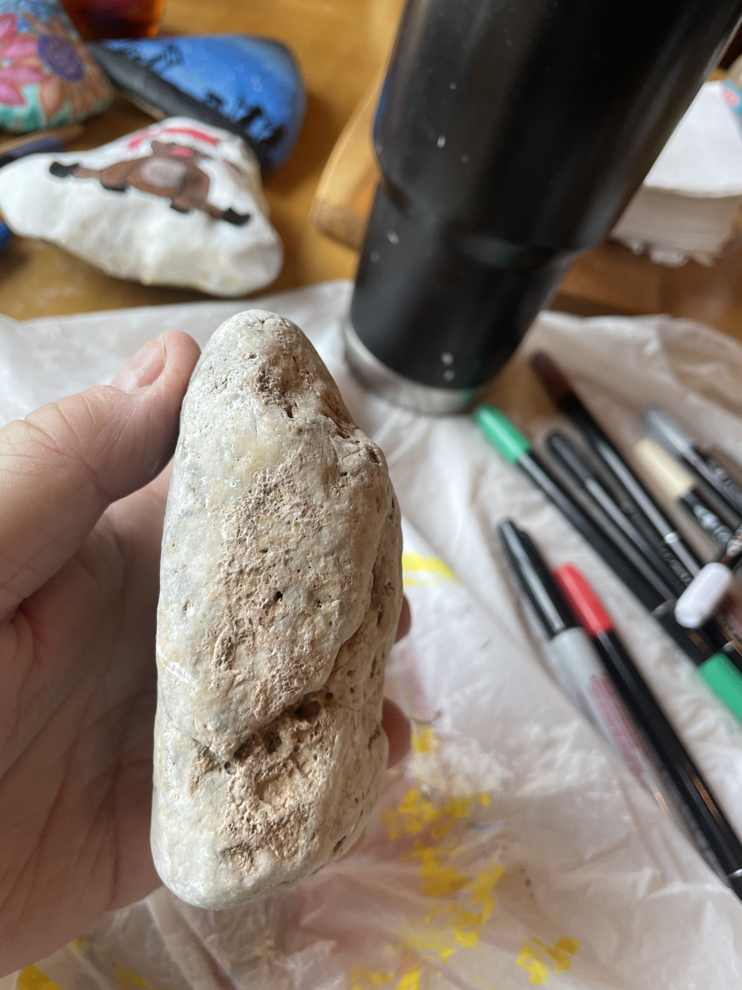 What made these marks? - Fossil ID - The Fossil Forum