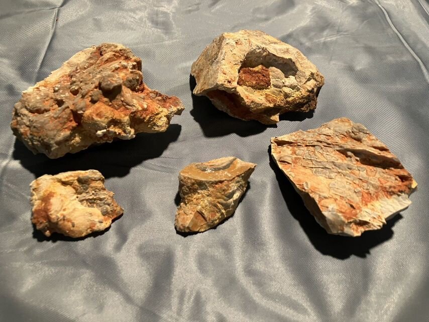 Are these rocks fossils? - Fossil ID - The Fossil Forum