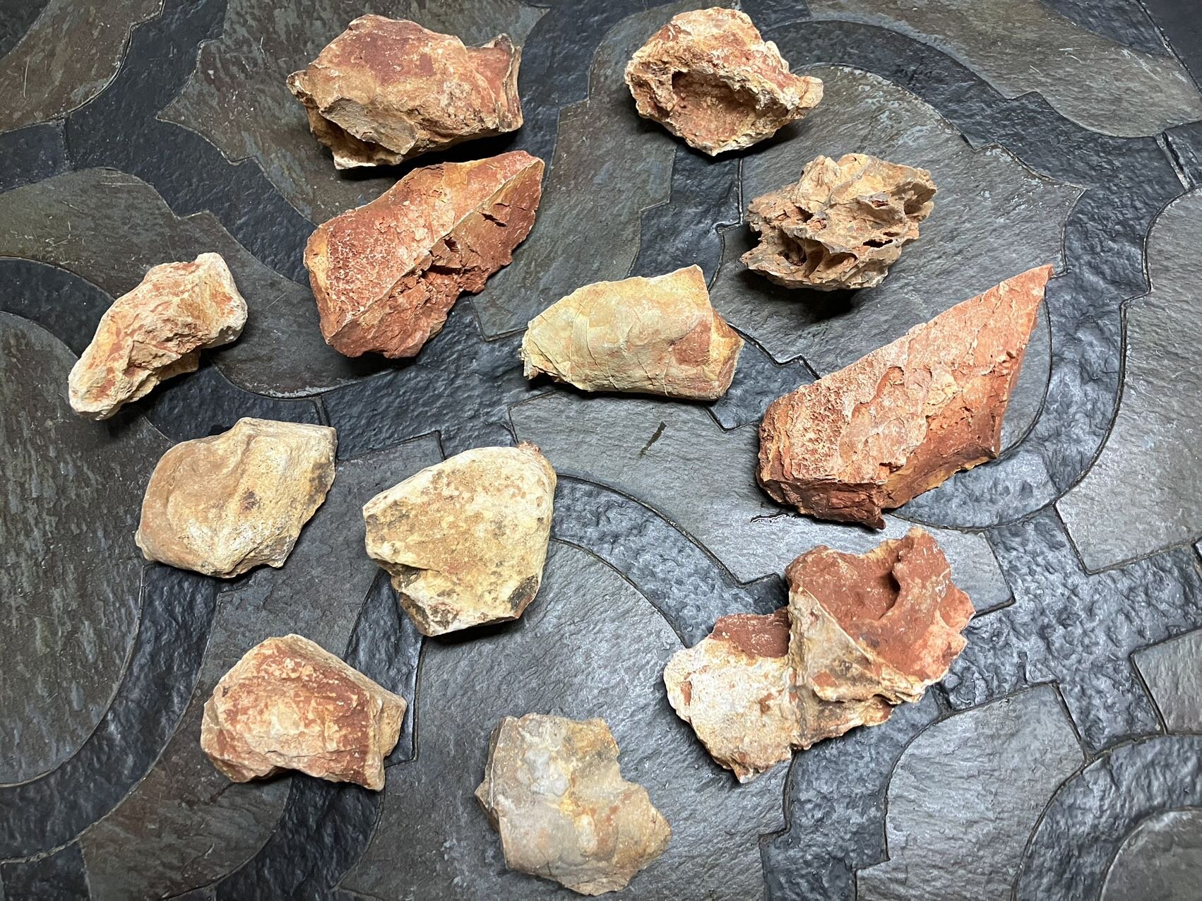 Are these rocks fossils? - Fossil ID - The Fossil Forum