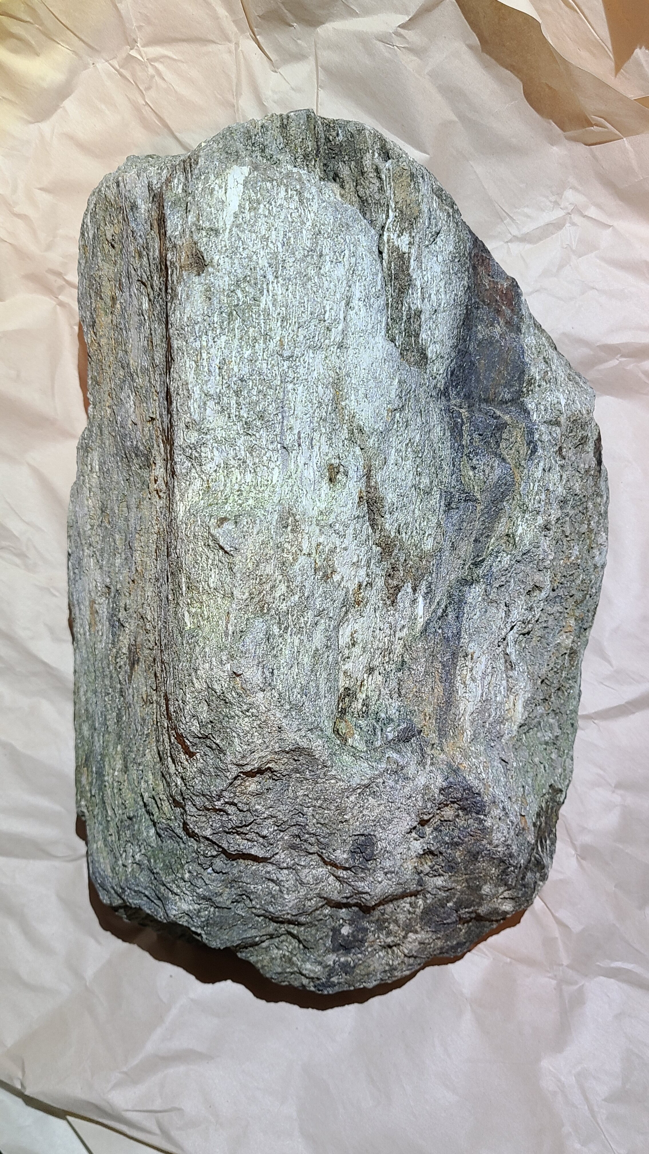 Possible Petrified Wood, Washington State - Fossil ID - The Fossil Forum