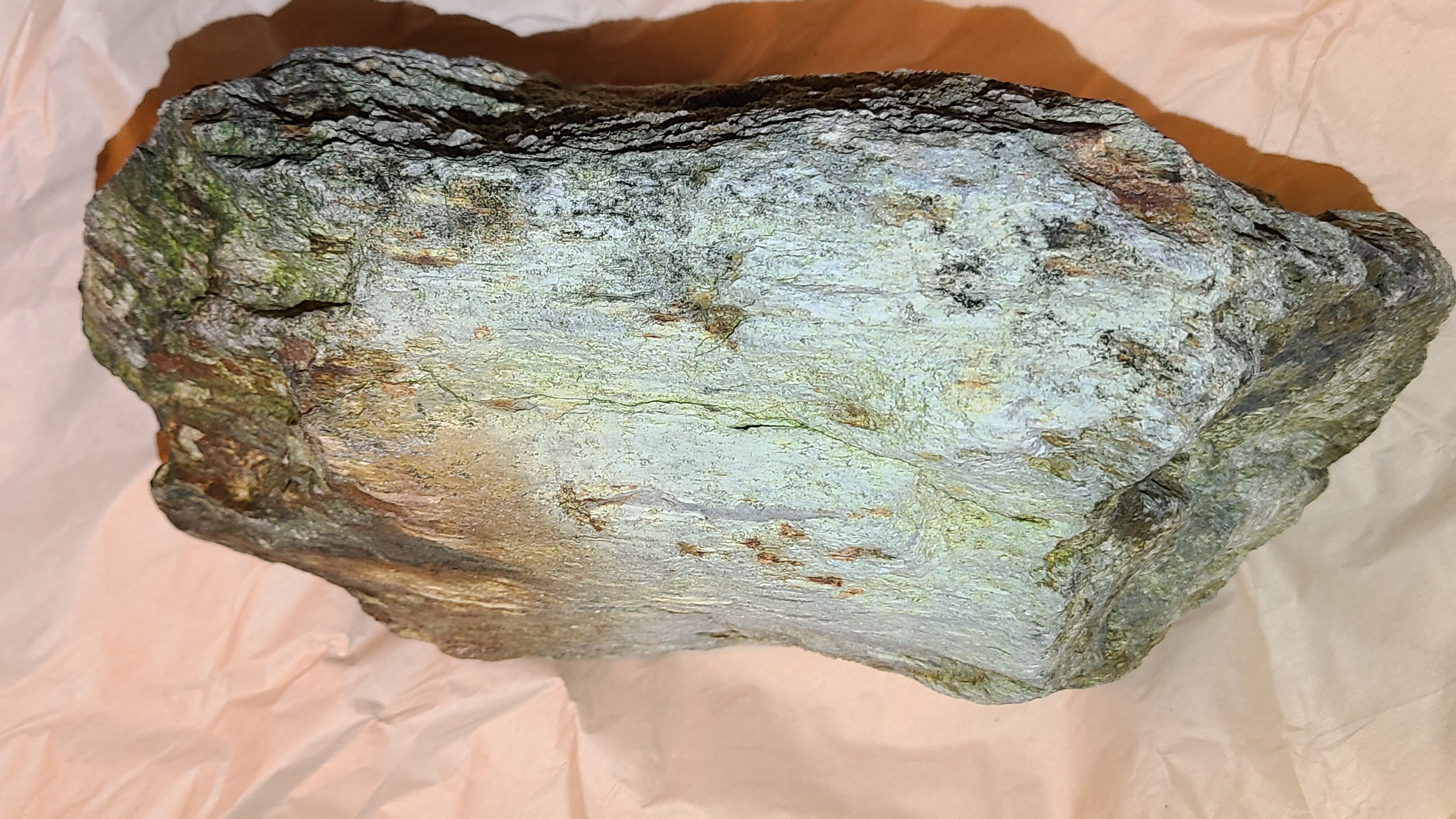 Possible Petrified Wood, Washington State - Fossil ID - The Fossil Forum