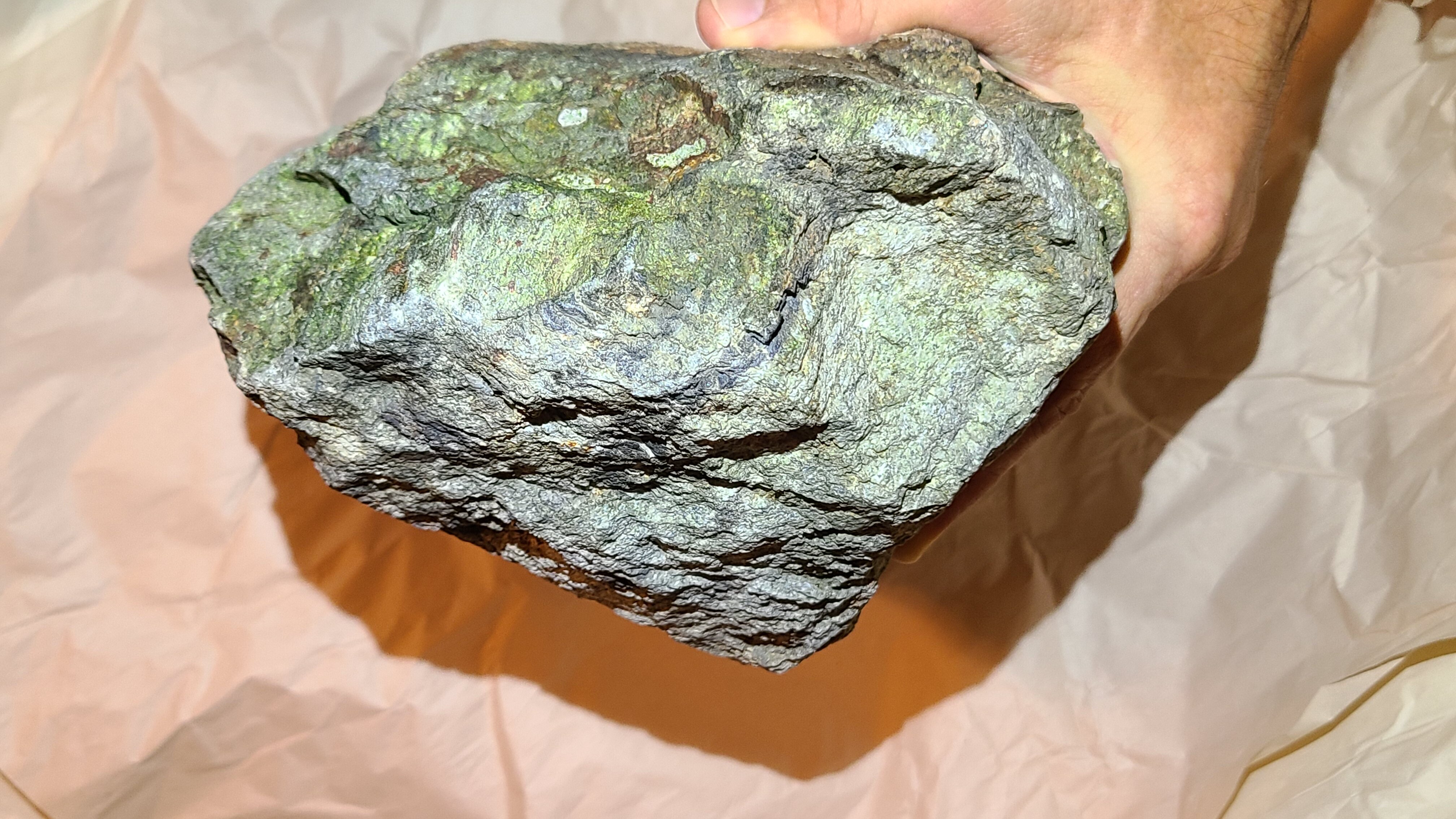 Possible Petrified Wood, Washington State - Fossil ID - The Fossil Forum