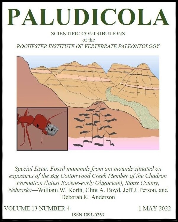 Show your primate fossils - Member Collections - The Fossil Forum