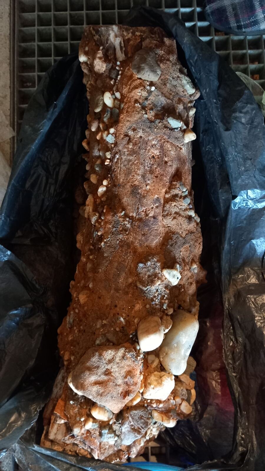 Mammuth tusk cleaning - Fossil Preparation - The Fossil Forum