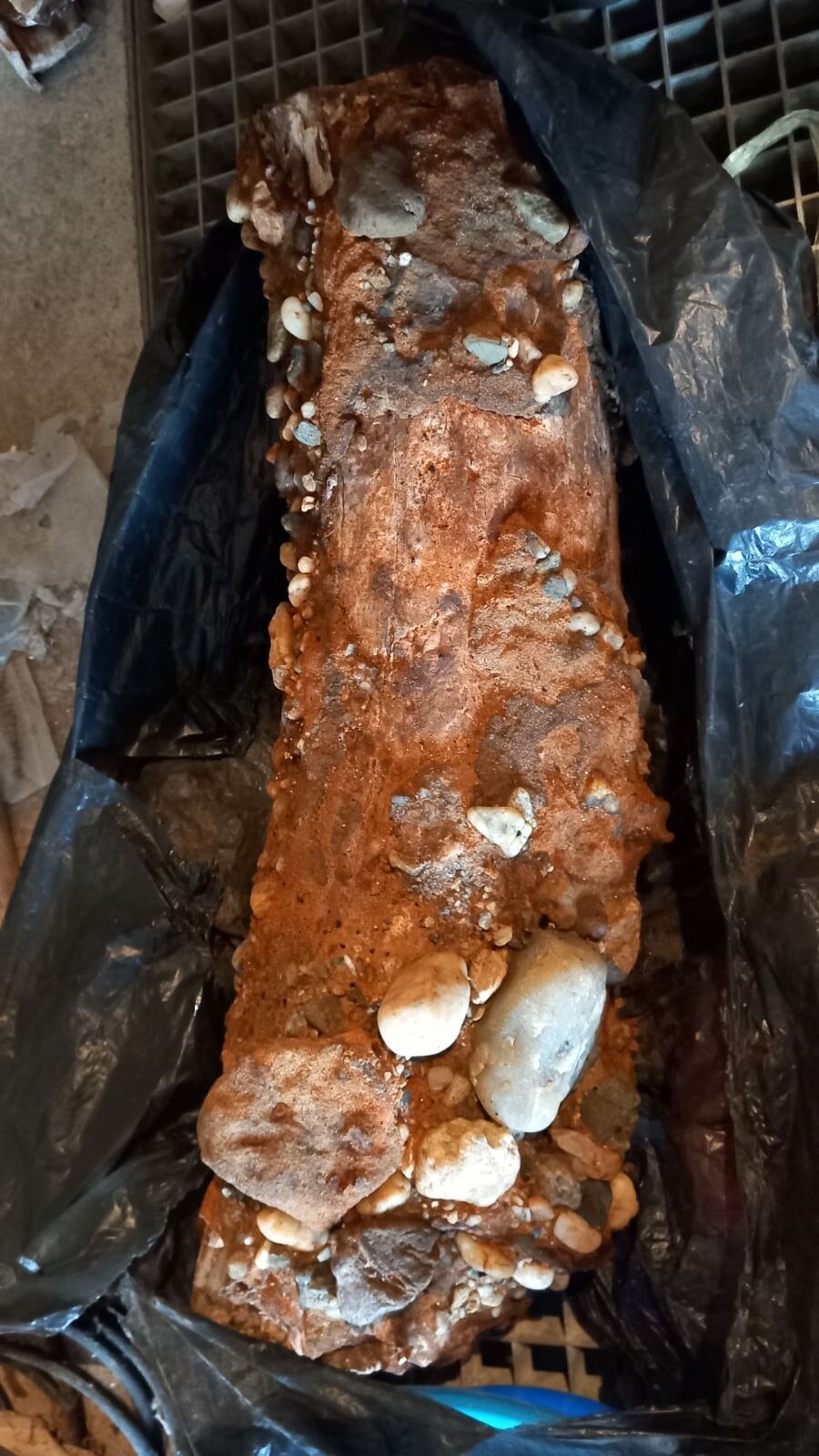 Mammuth tusk cleaning - Fossil Preparation - The Fossil Forum