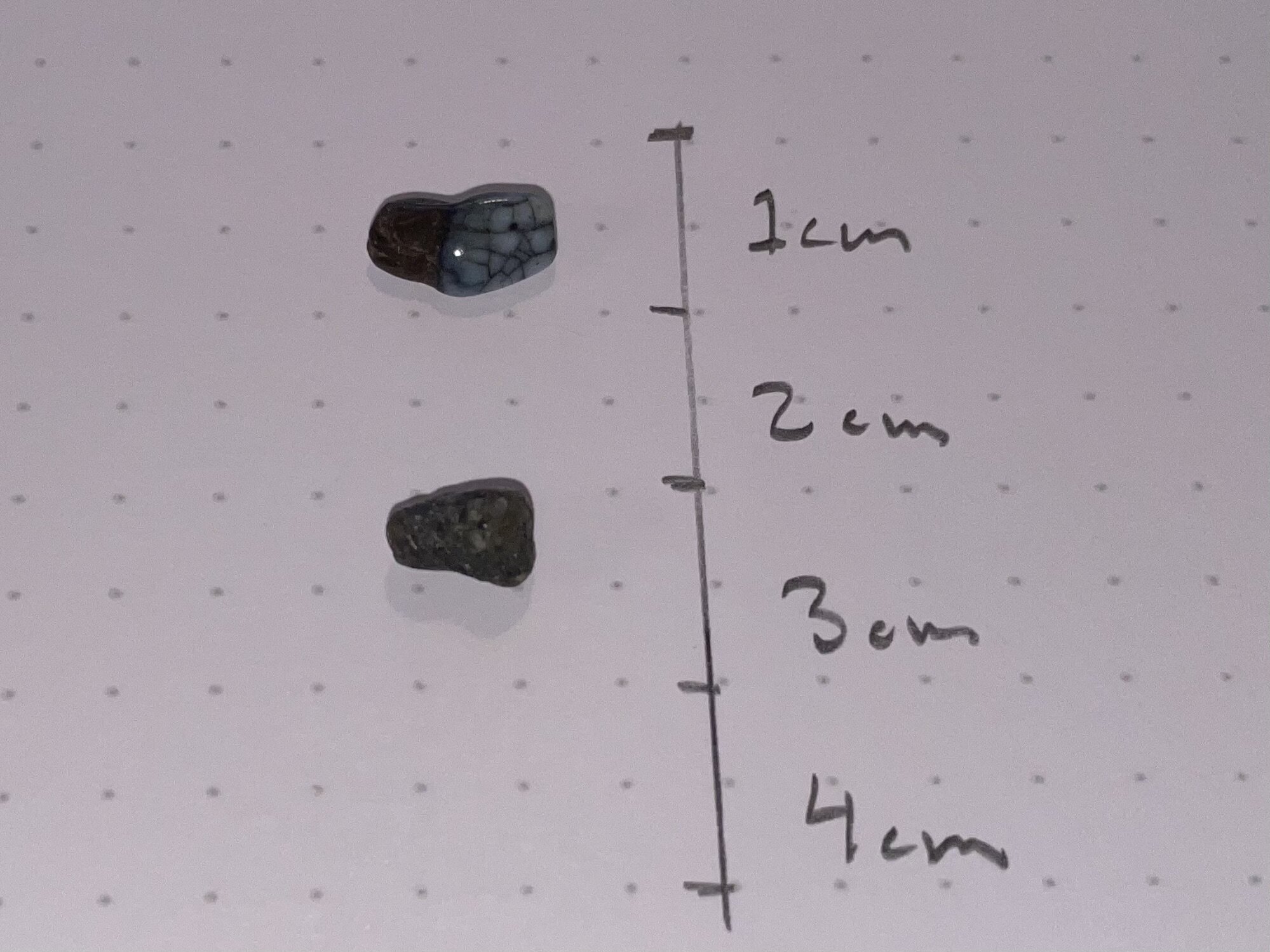 Beach find in Florida, help - Fossil ID - The Fossil Forum