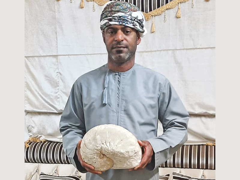 Nautilus from Oman - Fossil ID - The Fossil Forum