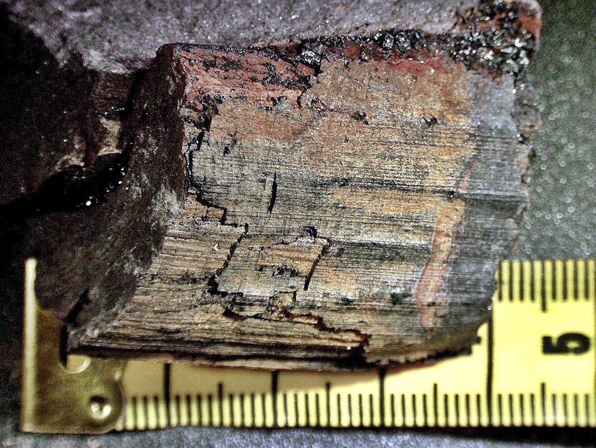 Pennsylvanian subperiod, Monongahela group, West Virginia USA - The ...