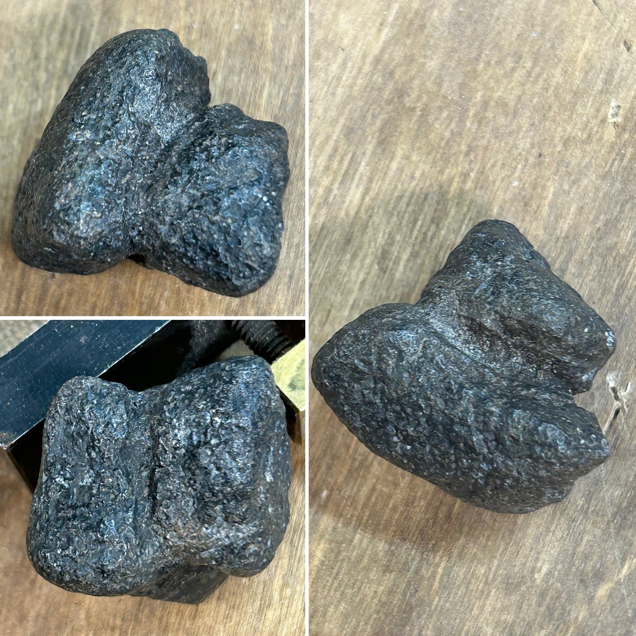 Peace River tooth? - Fossil ID - The Fossil Forum