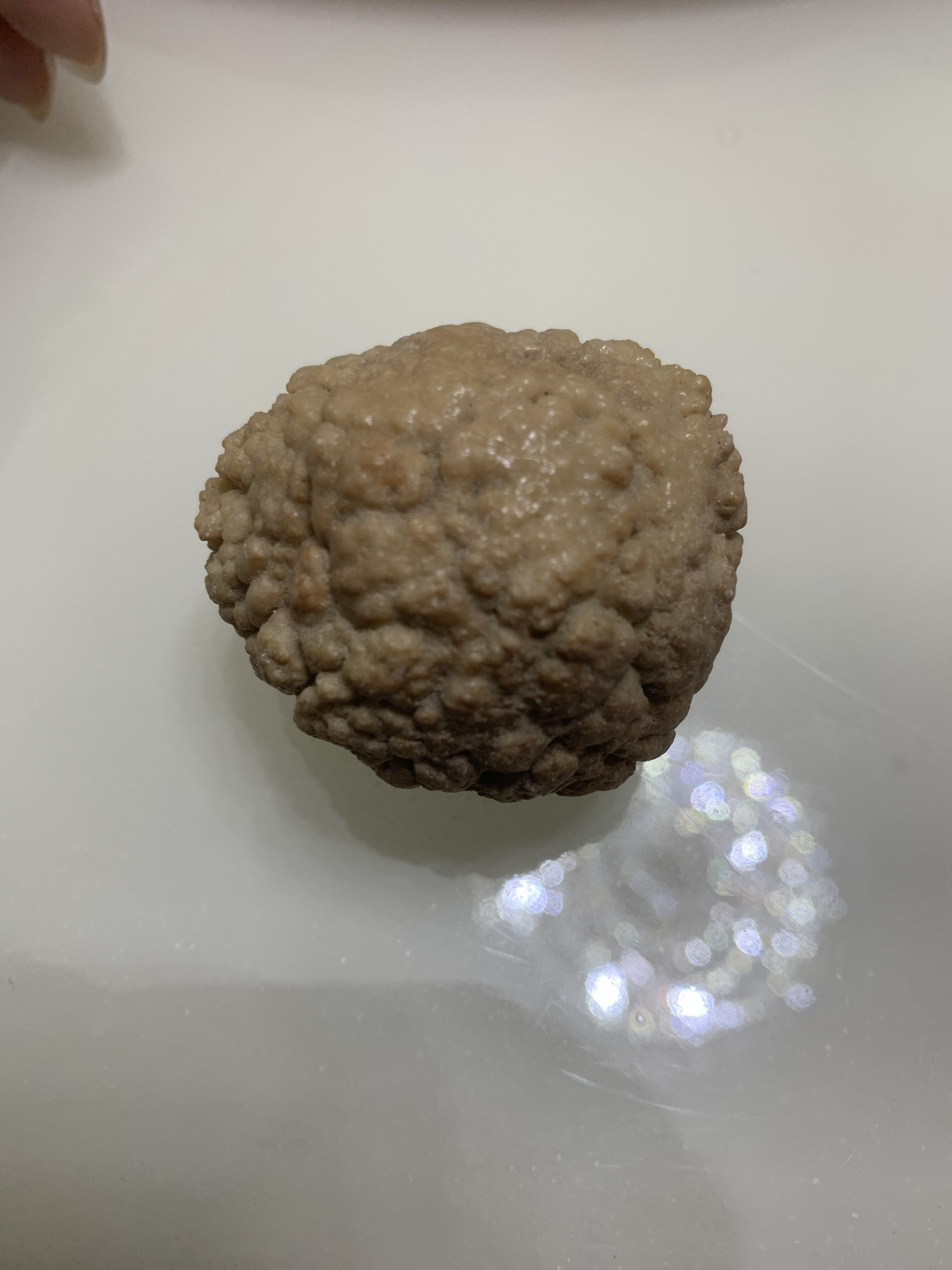 Cave pearl pseudomorph? - Rocks & Minerals - The Fossil Forum