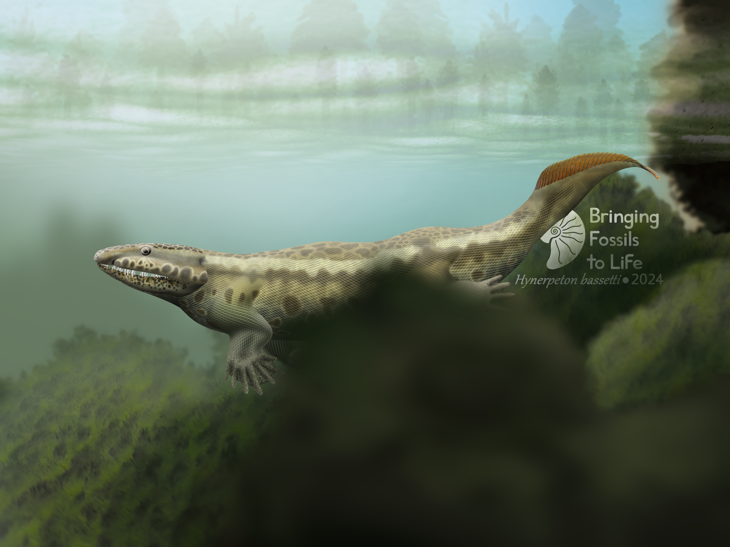 Hynerpeton bassetti 2024 - Paleo Re-creations - The Fossil Forum