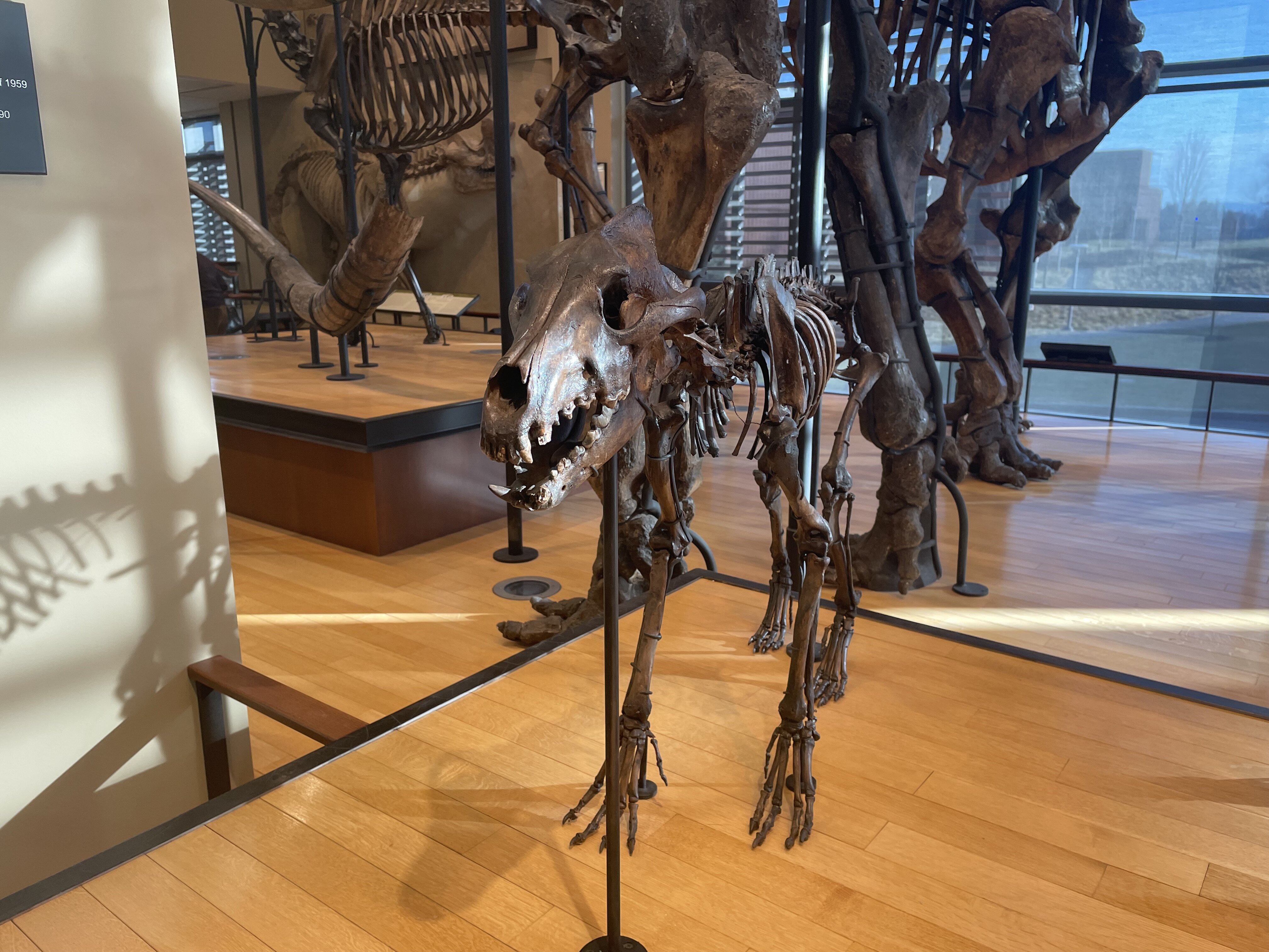 A trip to The Beneski Museum of Natural History Part-1 - A Trip to the ...