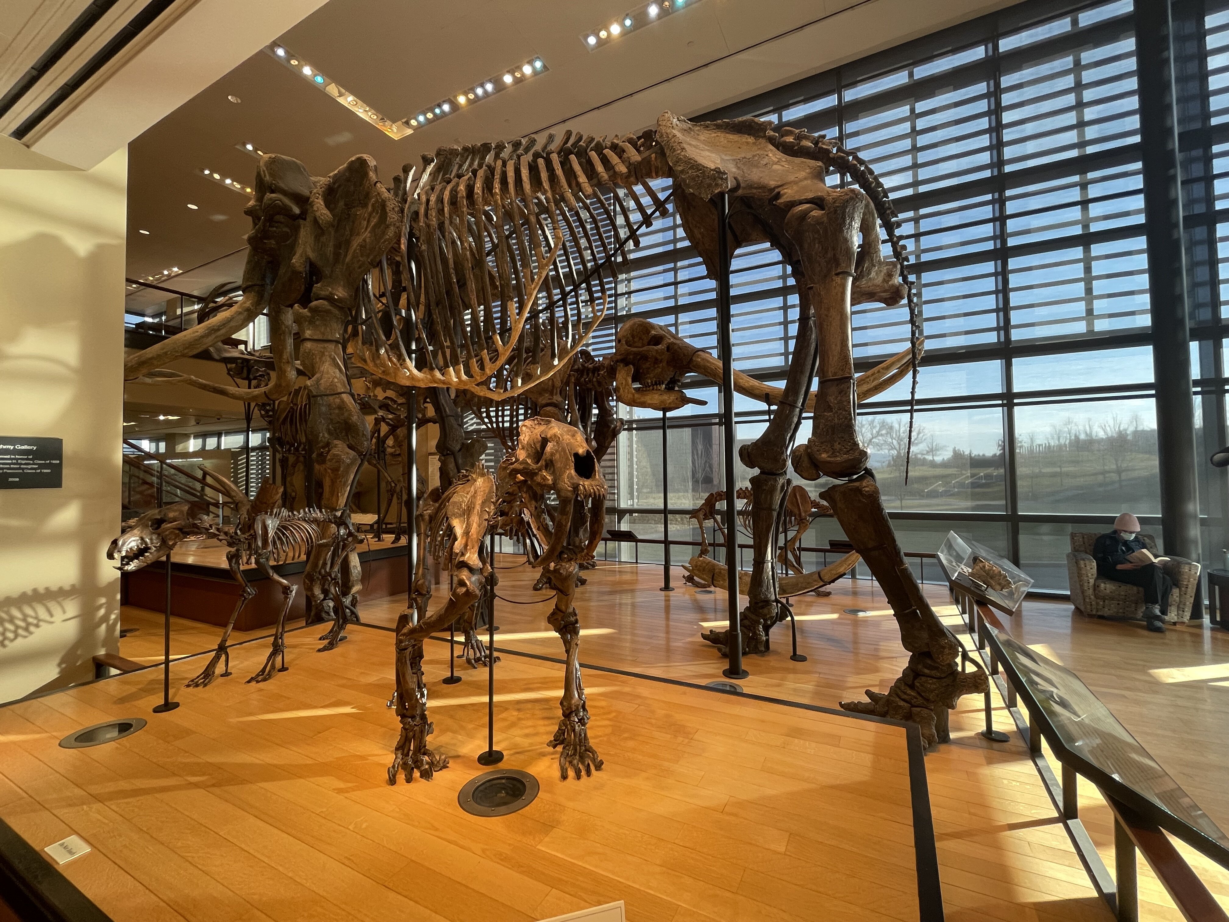 A trip to The Beneski Museum of Natural History Part-1 - A Trip to the ...