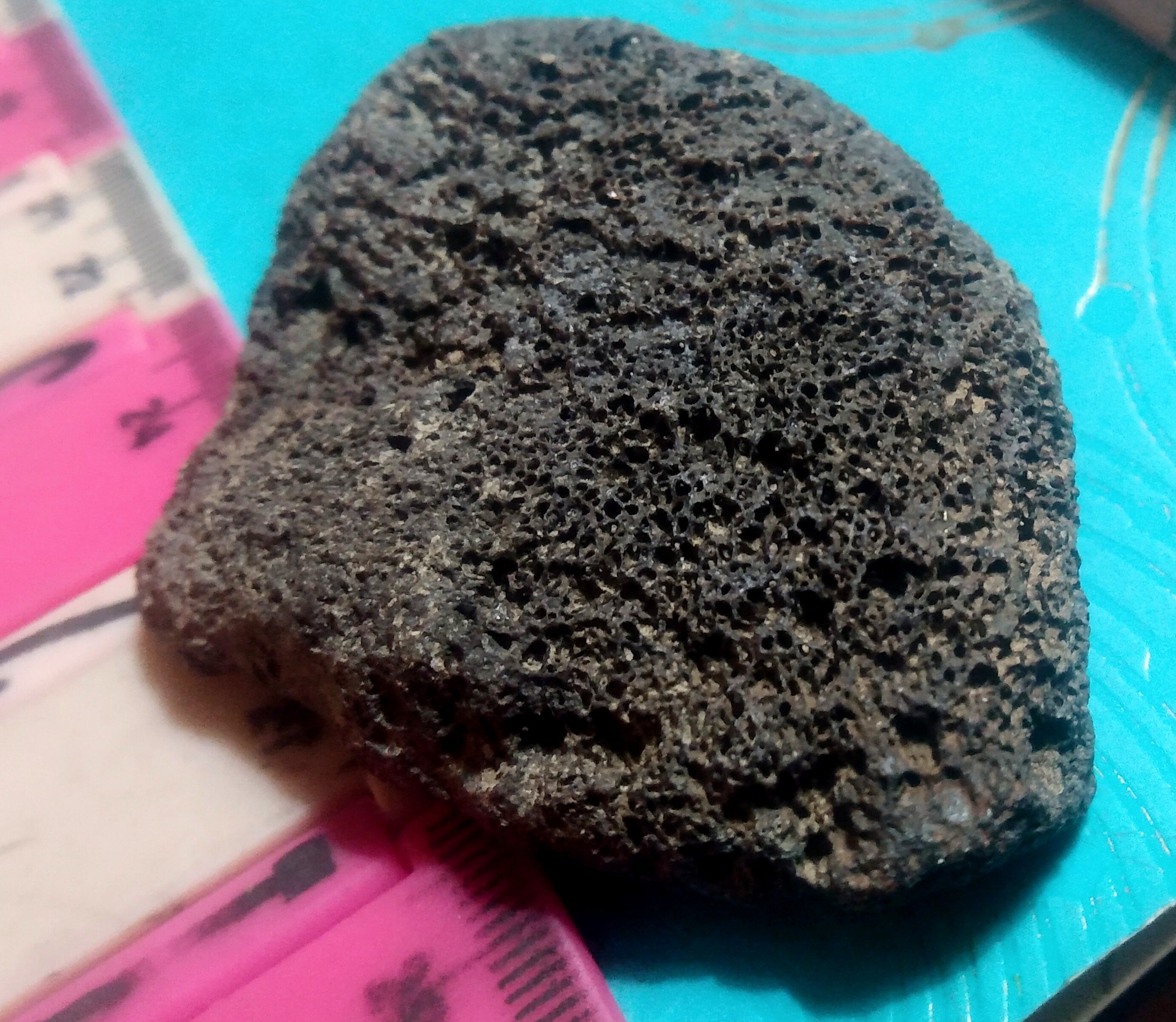 Chunk of bone? turtle shell? And is this banded chert? - Fossil ID ...