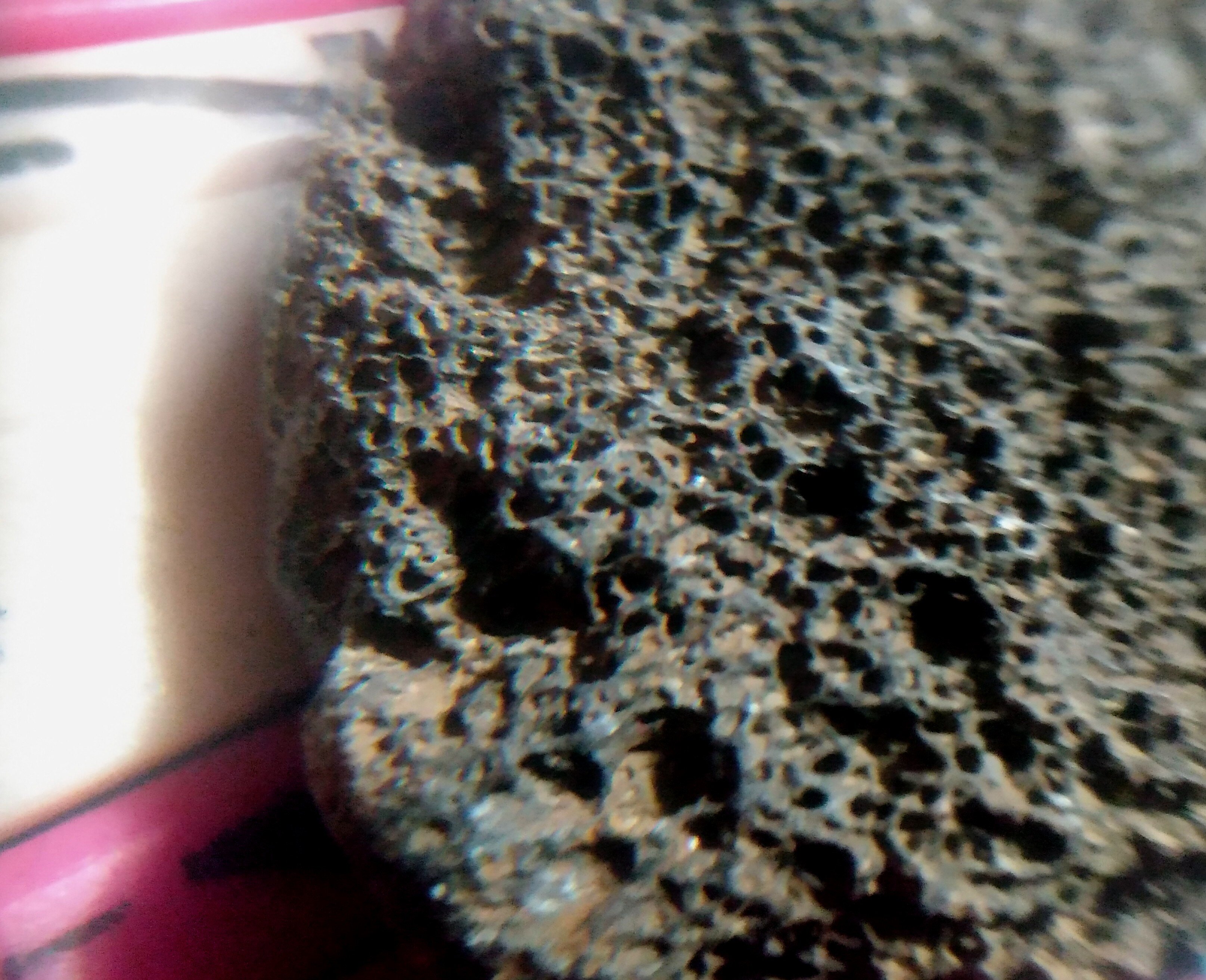 Chunk of bone? turtle shell? And is this banded chert? - Fossil ID ...