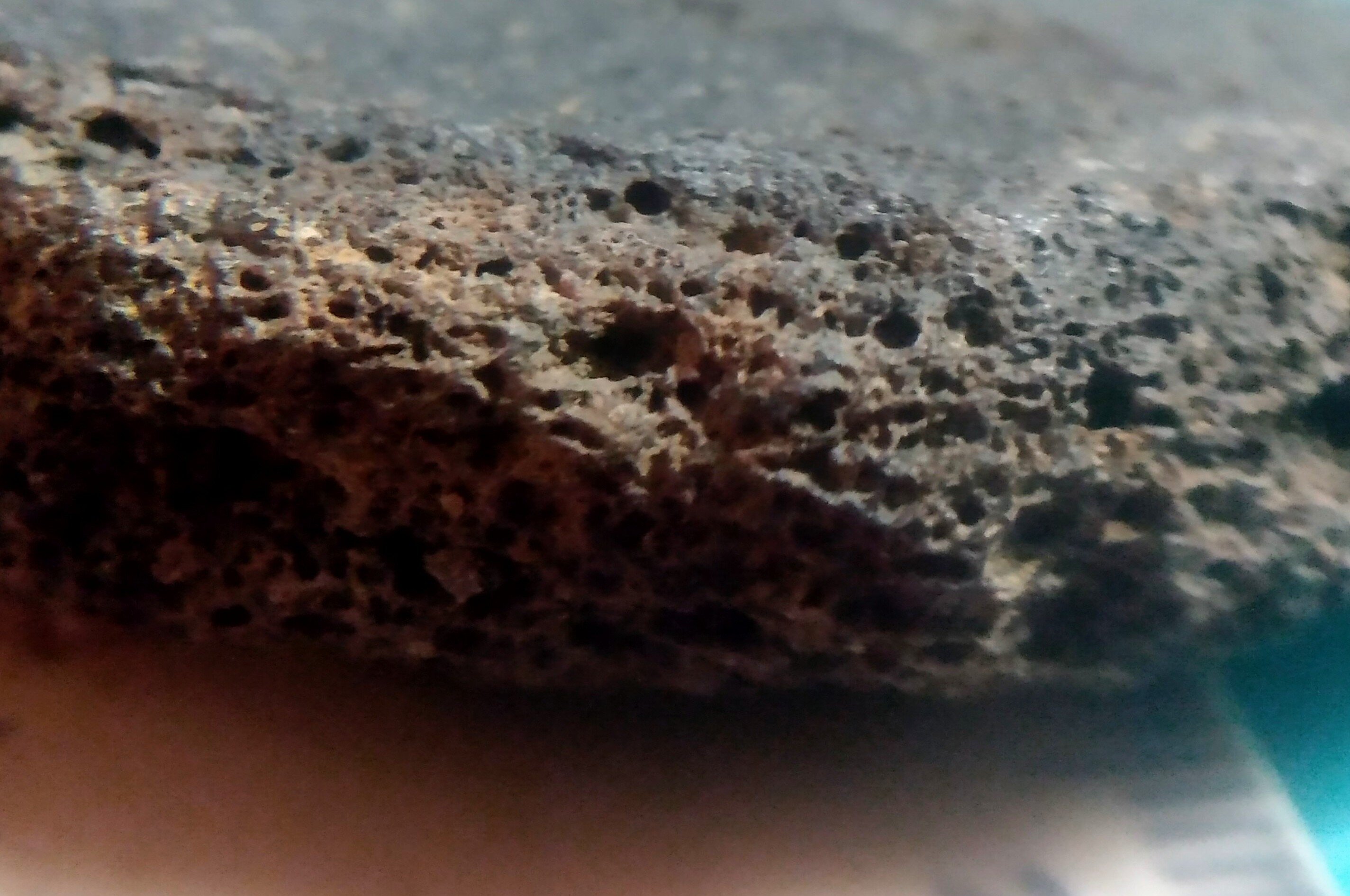 Chunk of bone? turtle shell? And is this banded chert? - Fossil ID ...