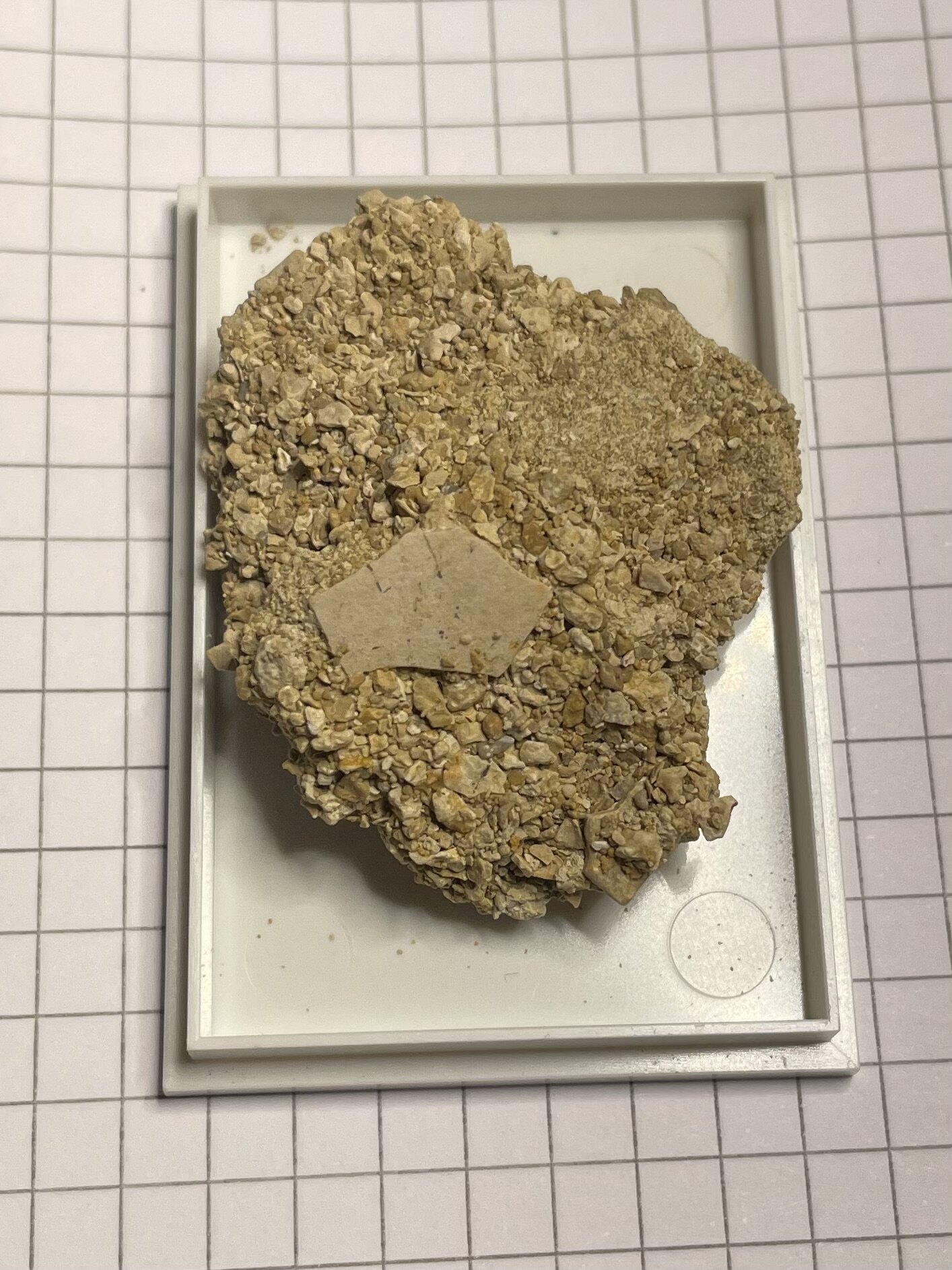 Two eggshells from France - Fossil ID - The Fossil Forum