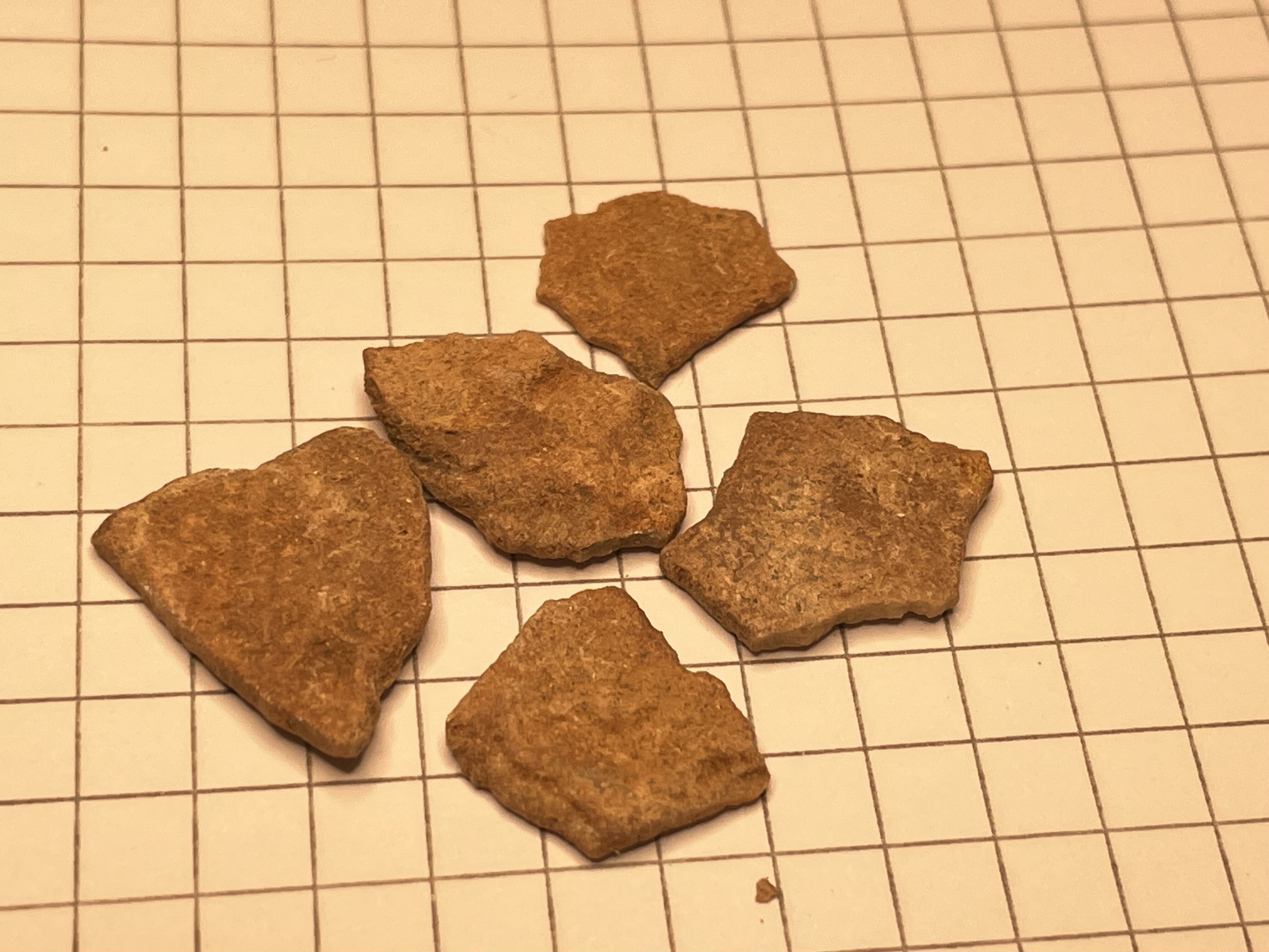 Two eggshells from France - Fossil ID - The Fossil Forum