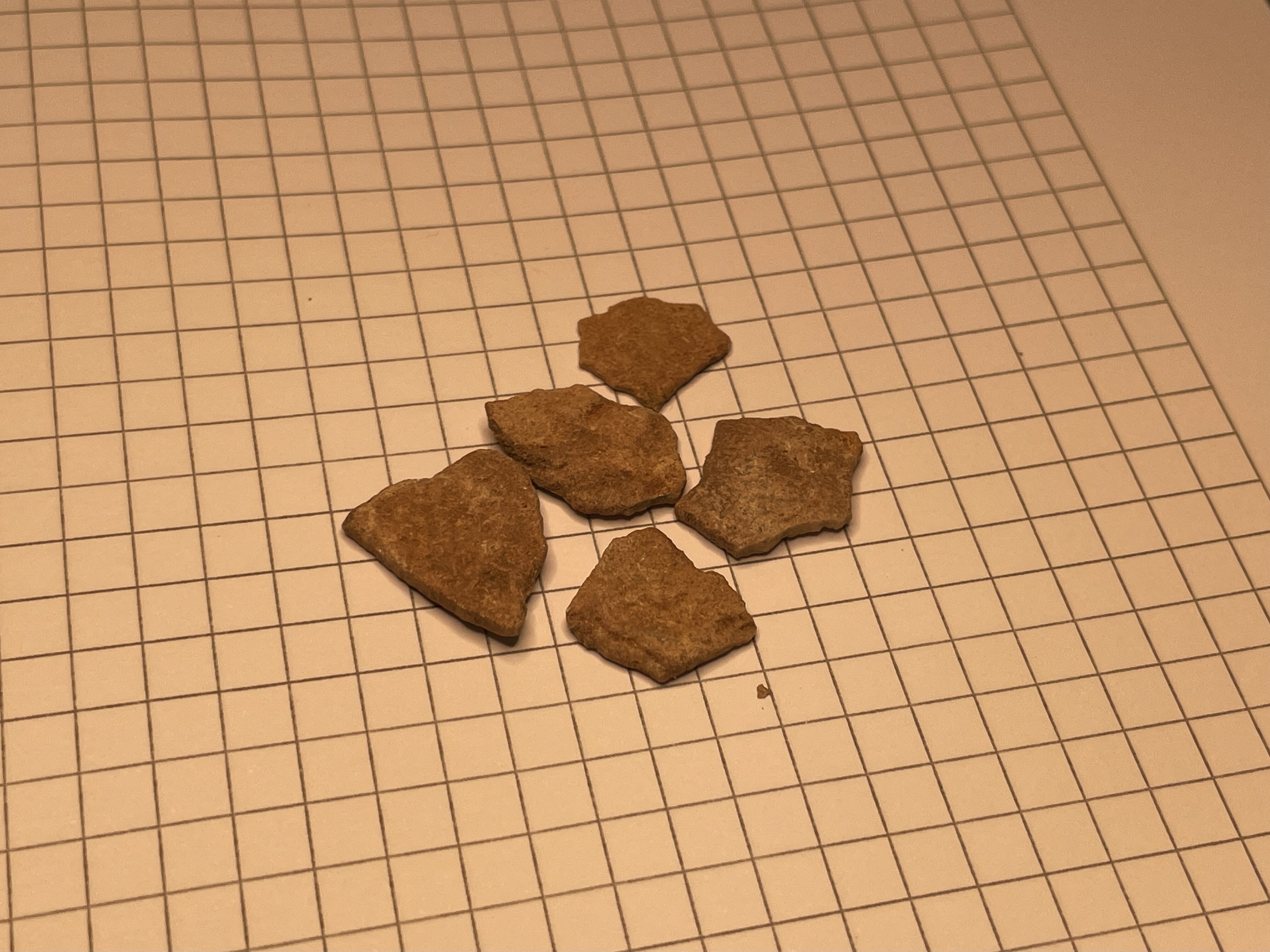 Two eggshells from France - Fossil ID - The Fossil Forum