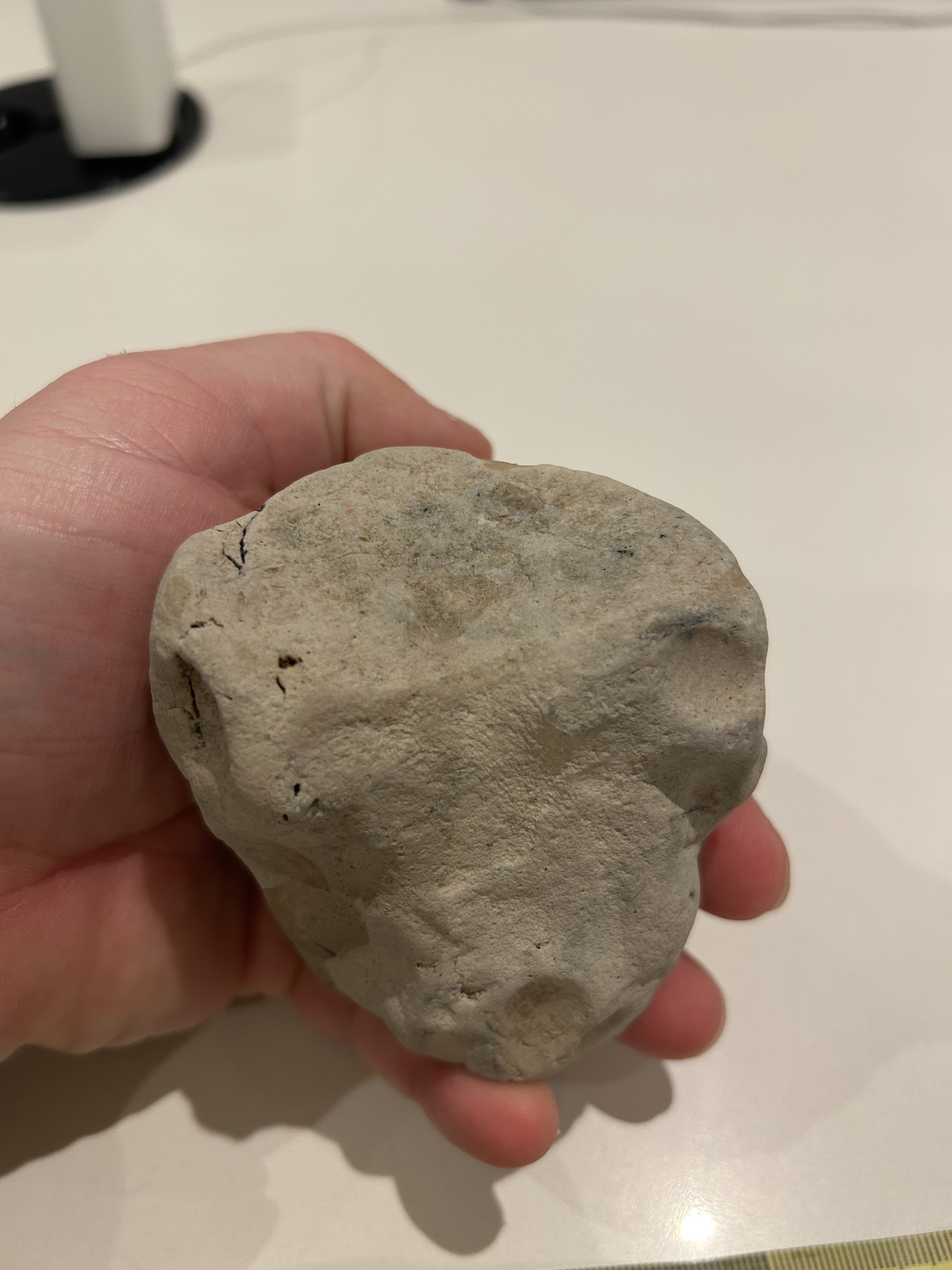 A Whole New World Opened Up - First Family Fossil Hunt! - Fossil ID ...