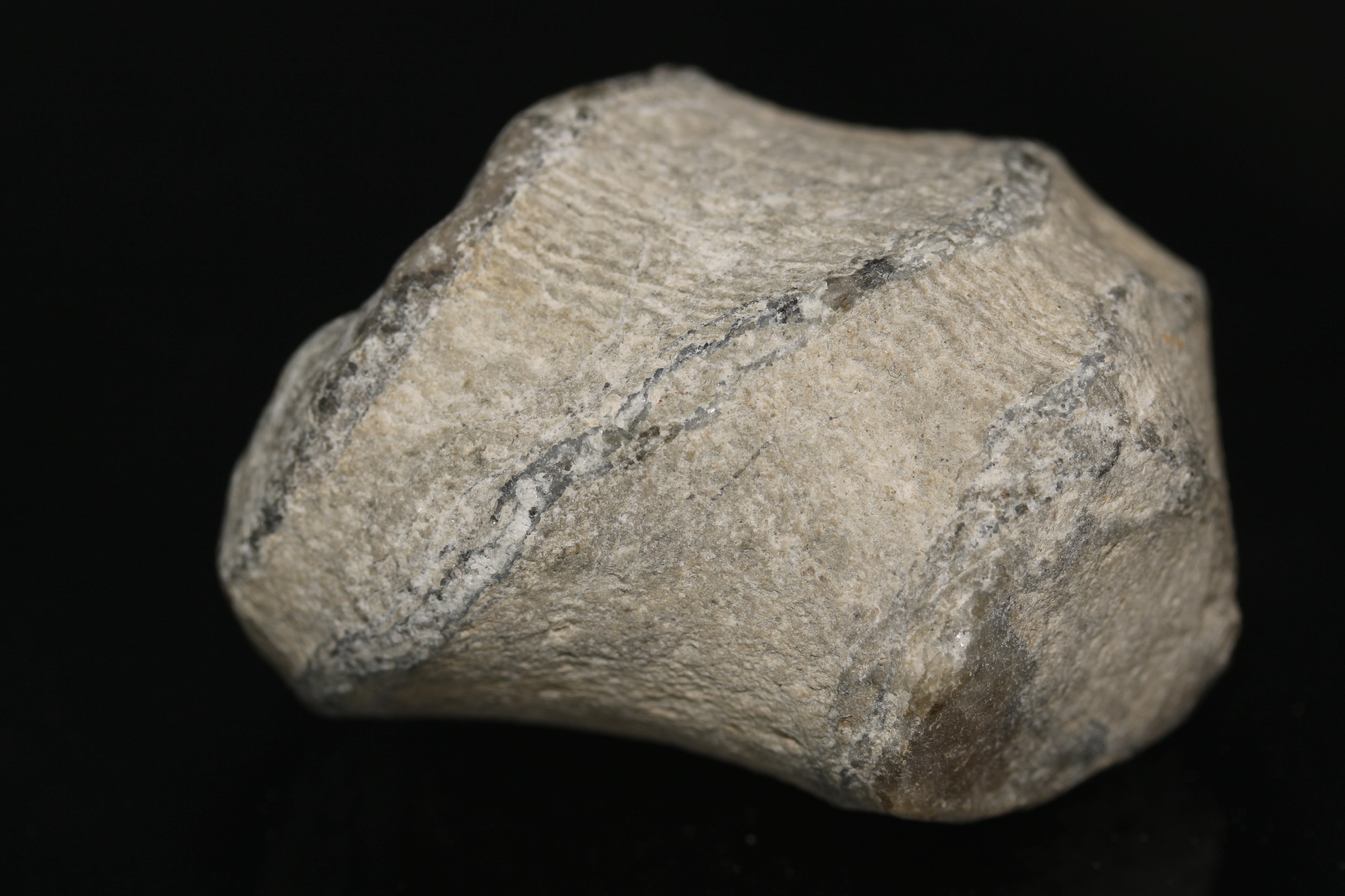 Bone? Pseudofossil? - Fossil ID - The Fossil Forum