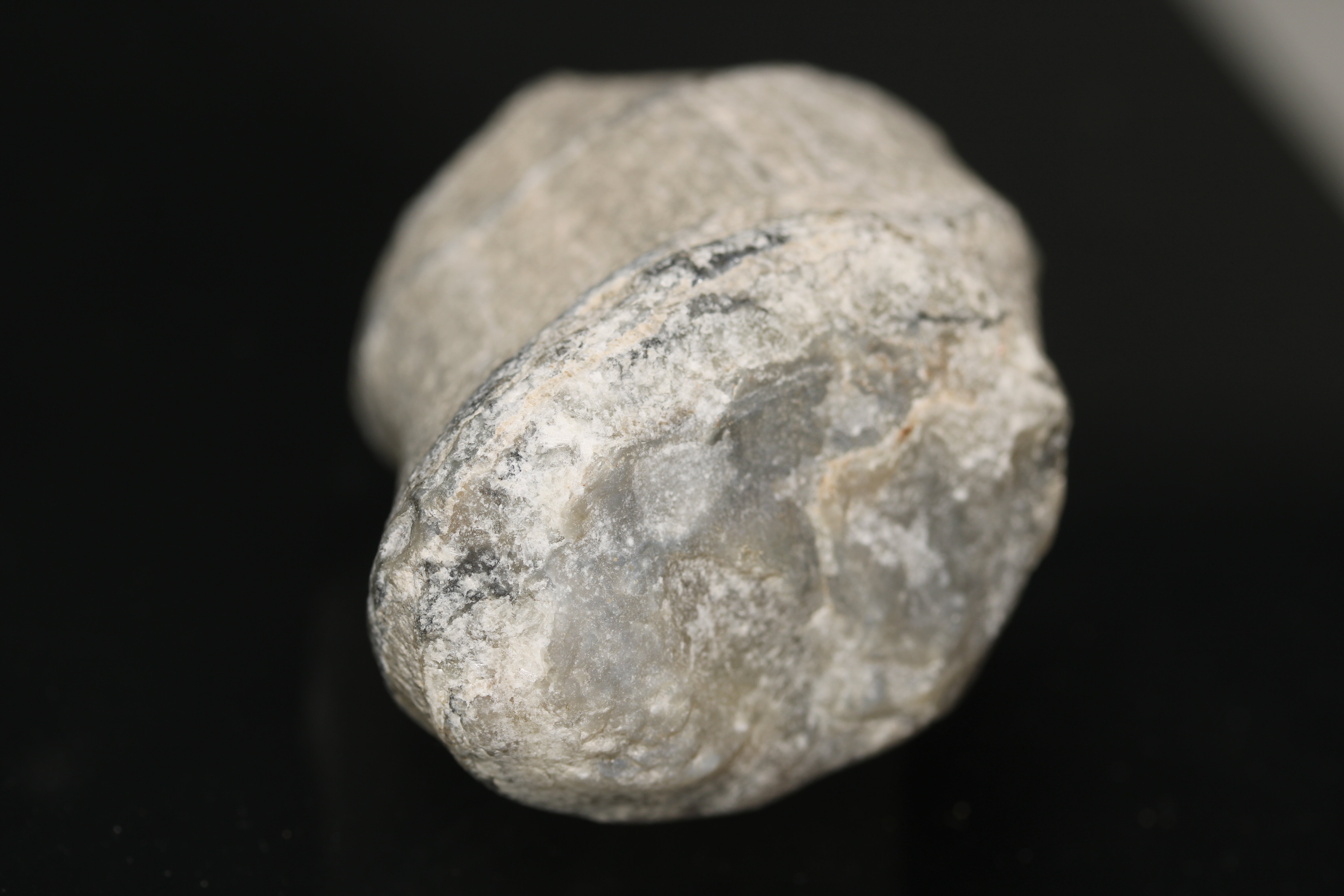 Bone? Pseudofossil? - Fossil ID - The Fossil Forum