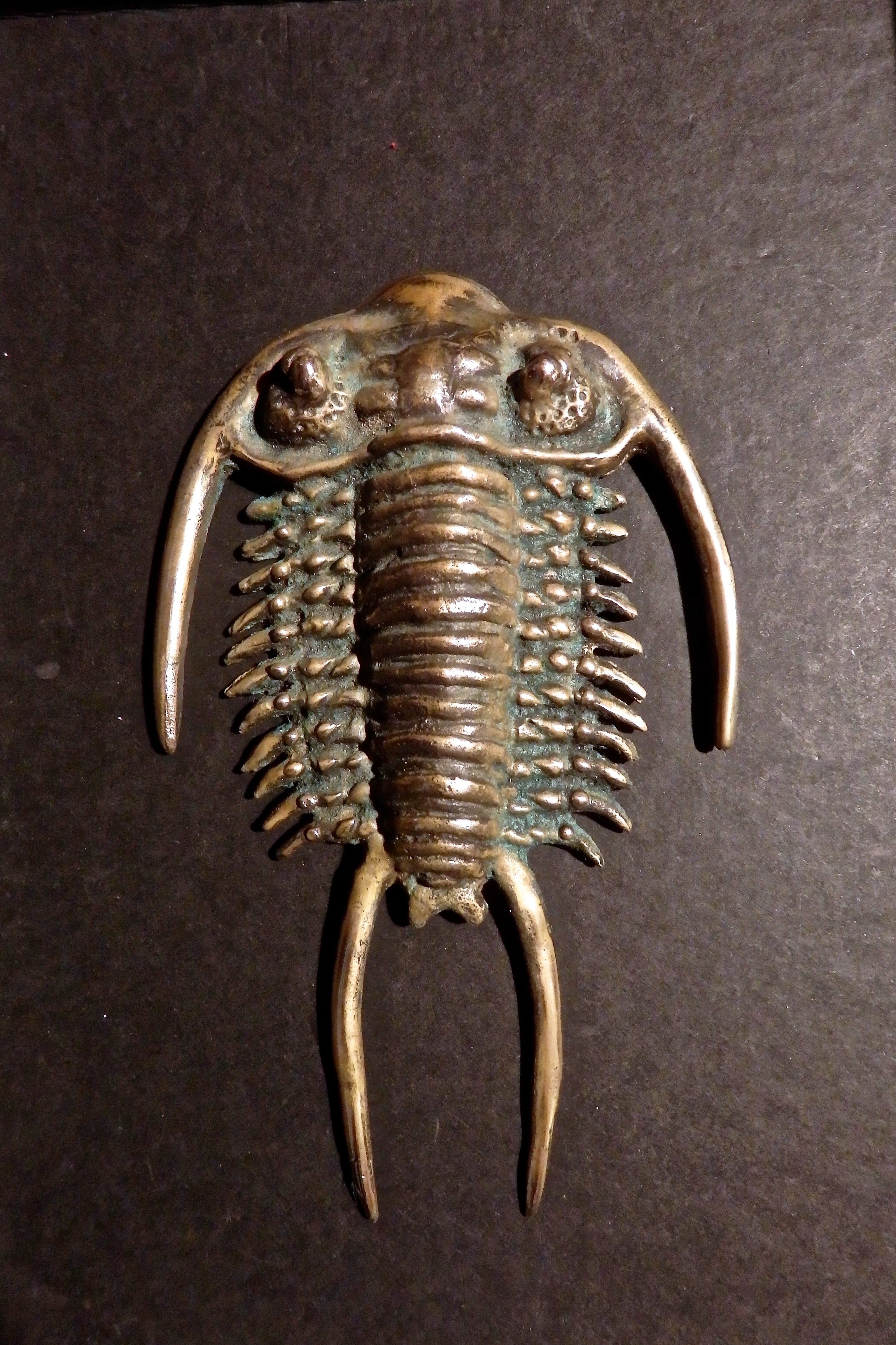 Bronze fossils 2 - Paleo Re-creations - The Fossil Forum