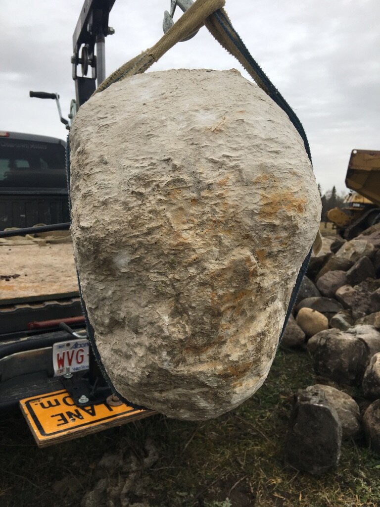 Very unusual rocks - Member Collections - The Fossil Forum