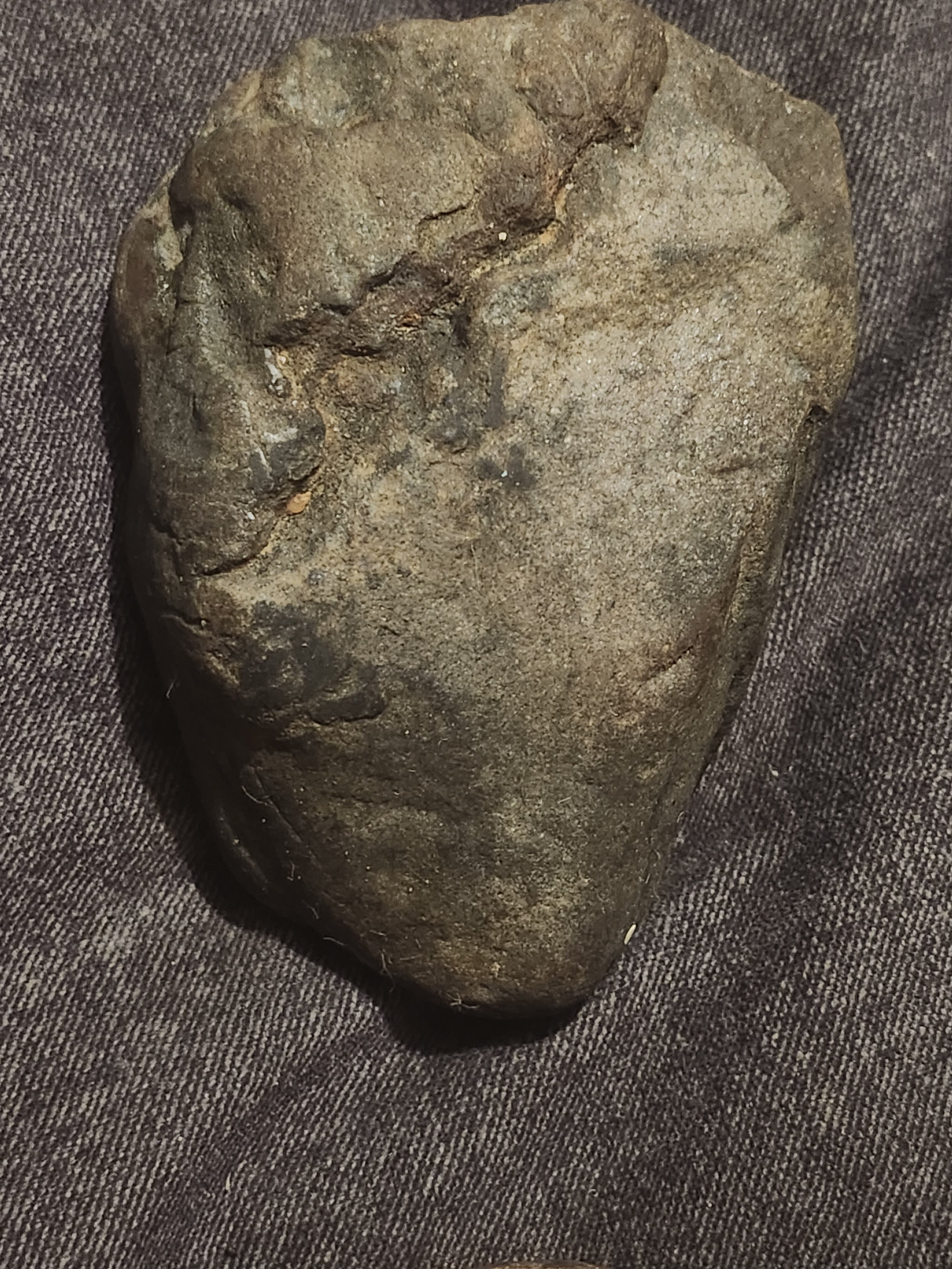 decomposition - Fossil ID - The Fossil Forum