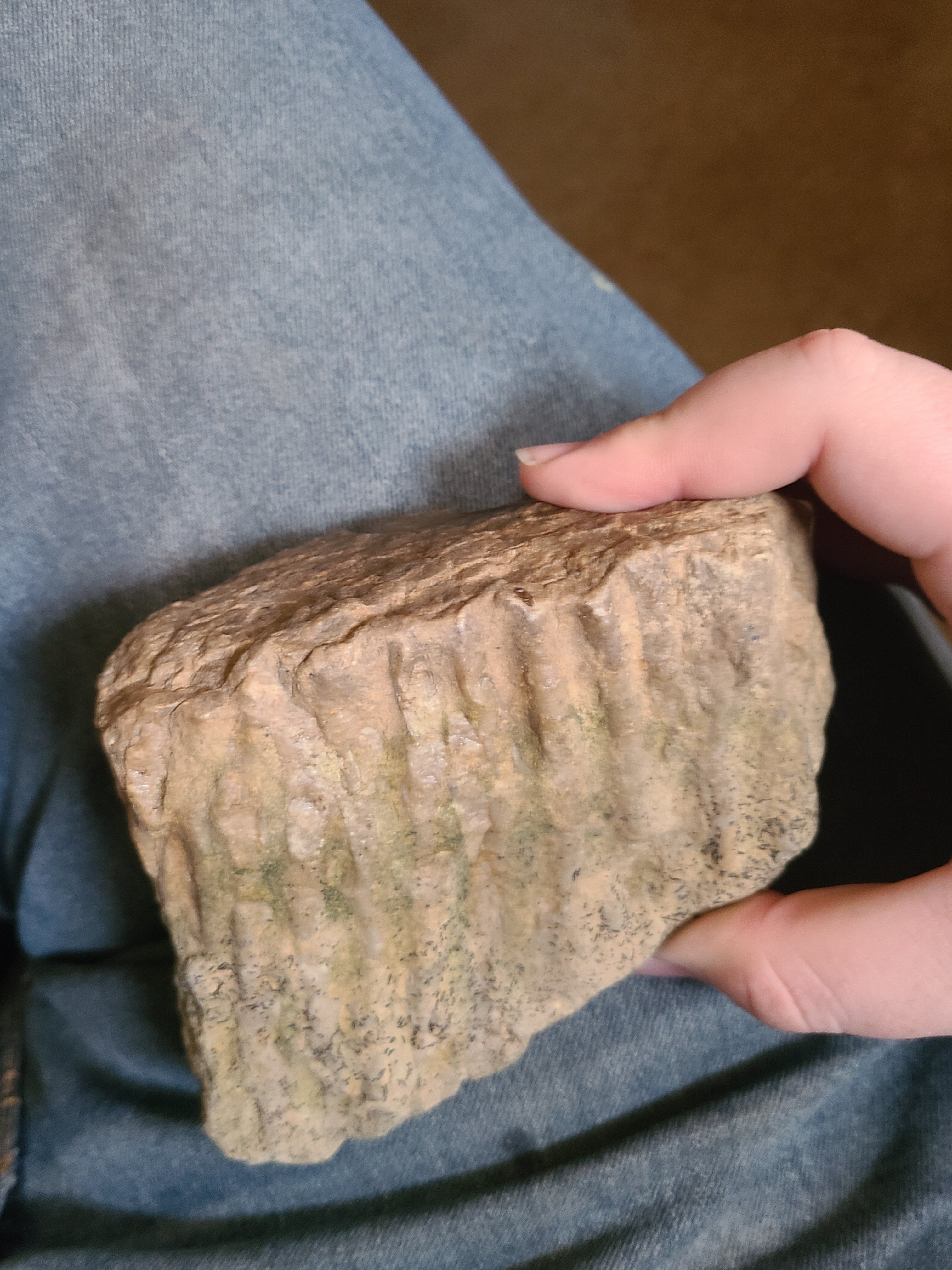 Is this a tooth, a weird coral or an odd limestone? - Fossil ID - The ...